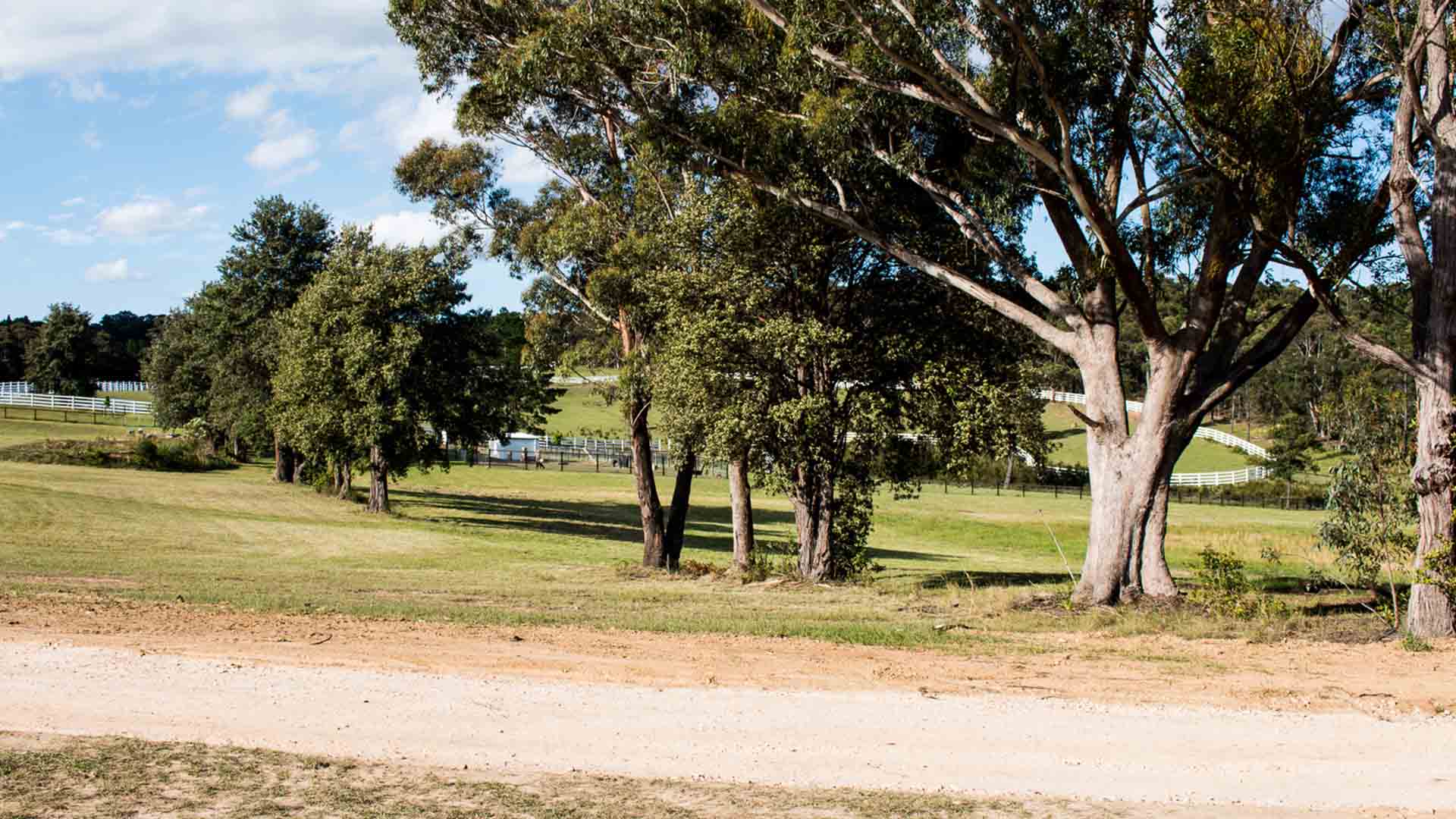 This Blue Mountains Farmstay Is Offering Half-Price Accommodation for ...