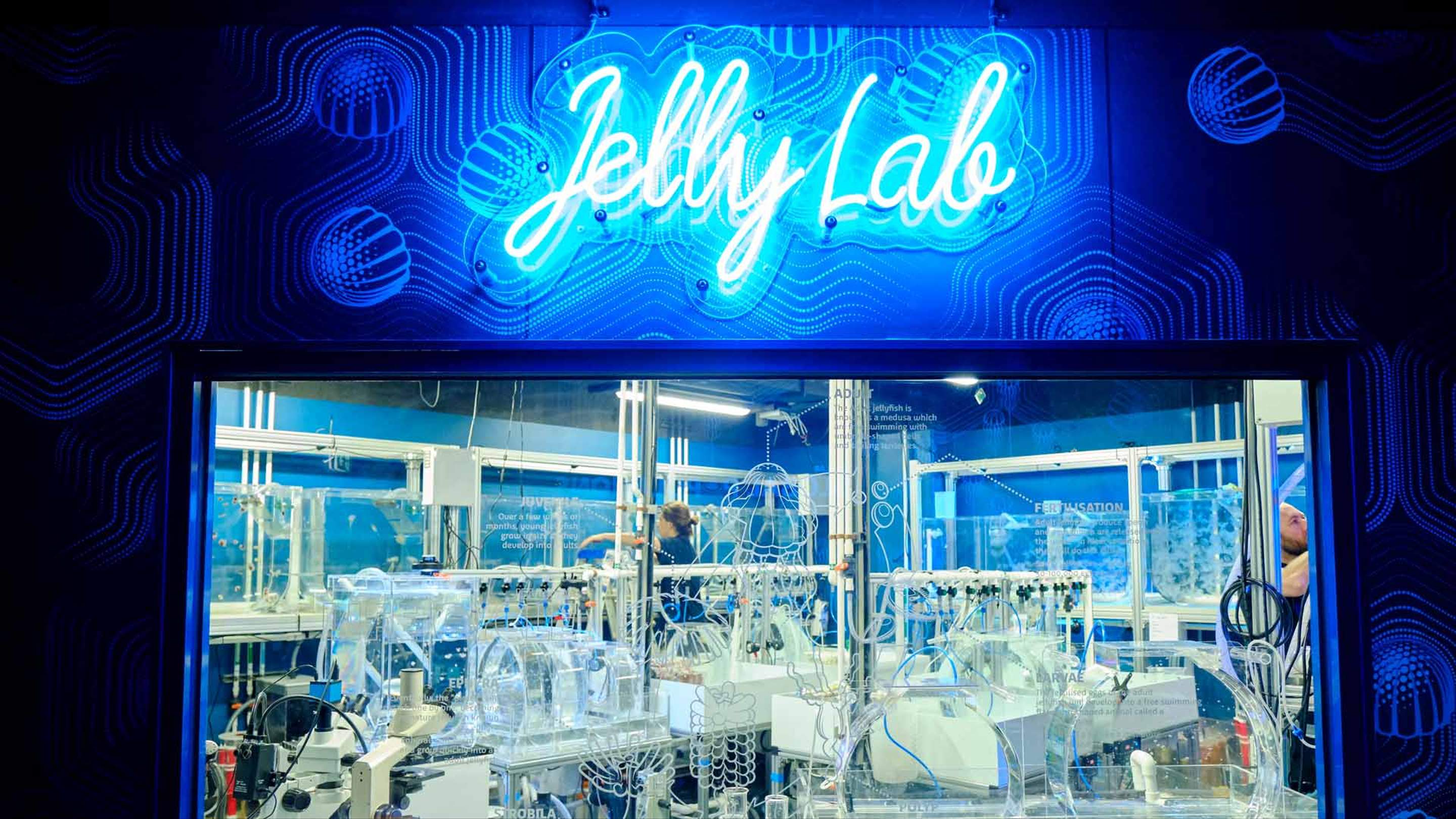 Ocean Invaders - Concrete Playground