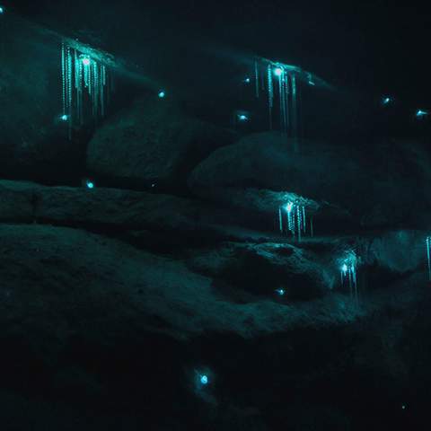 A Weekender's Guide to Bilpin and Surrounds - Concrete Playground