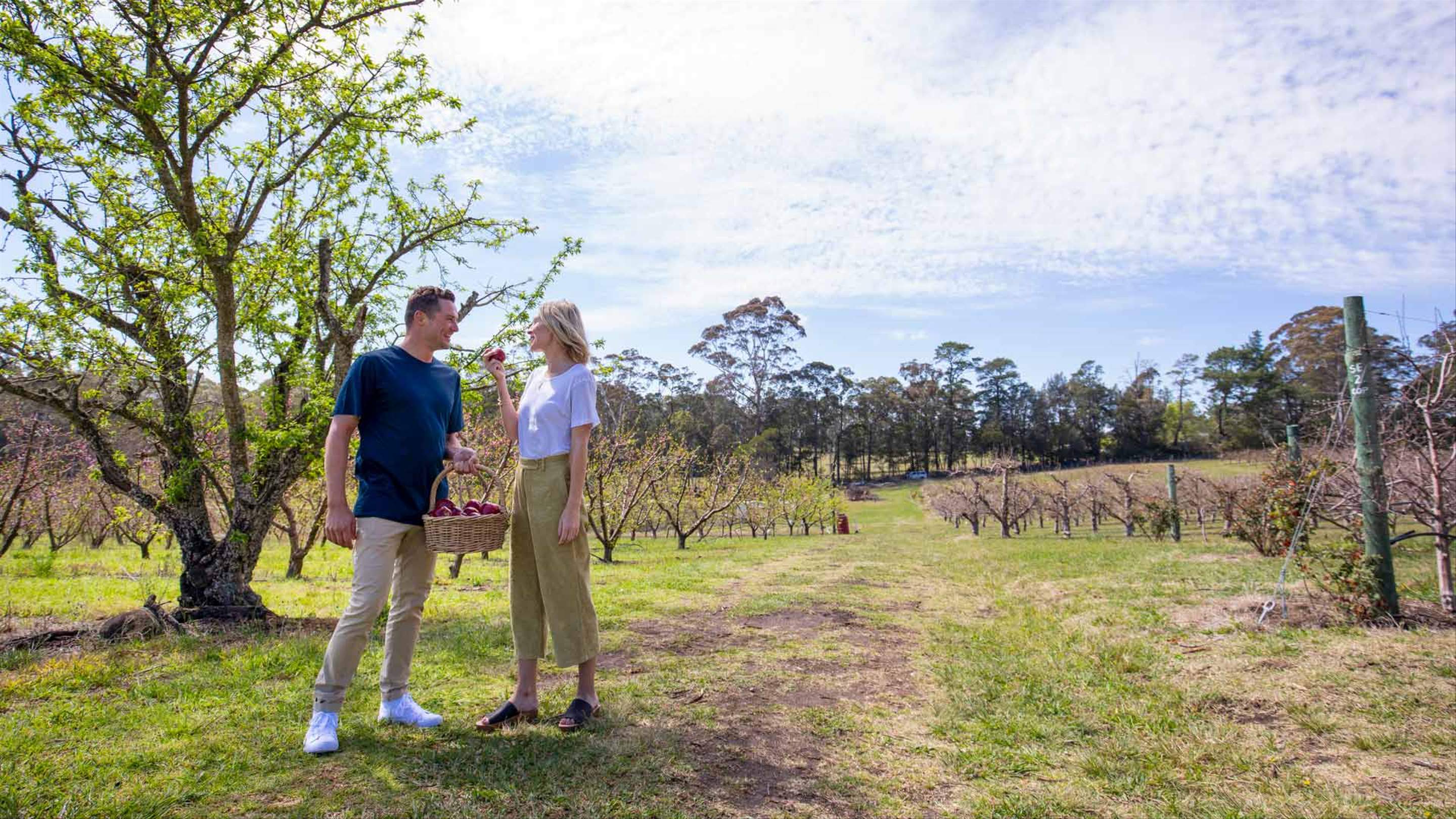 A Weekender's Guide to Bilpin and Surrounds - Concrete Playground