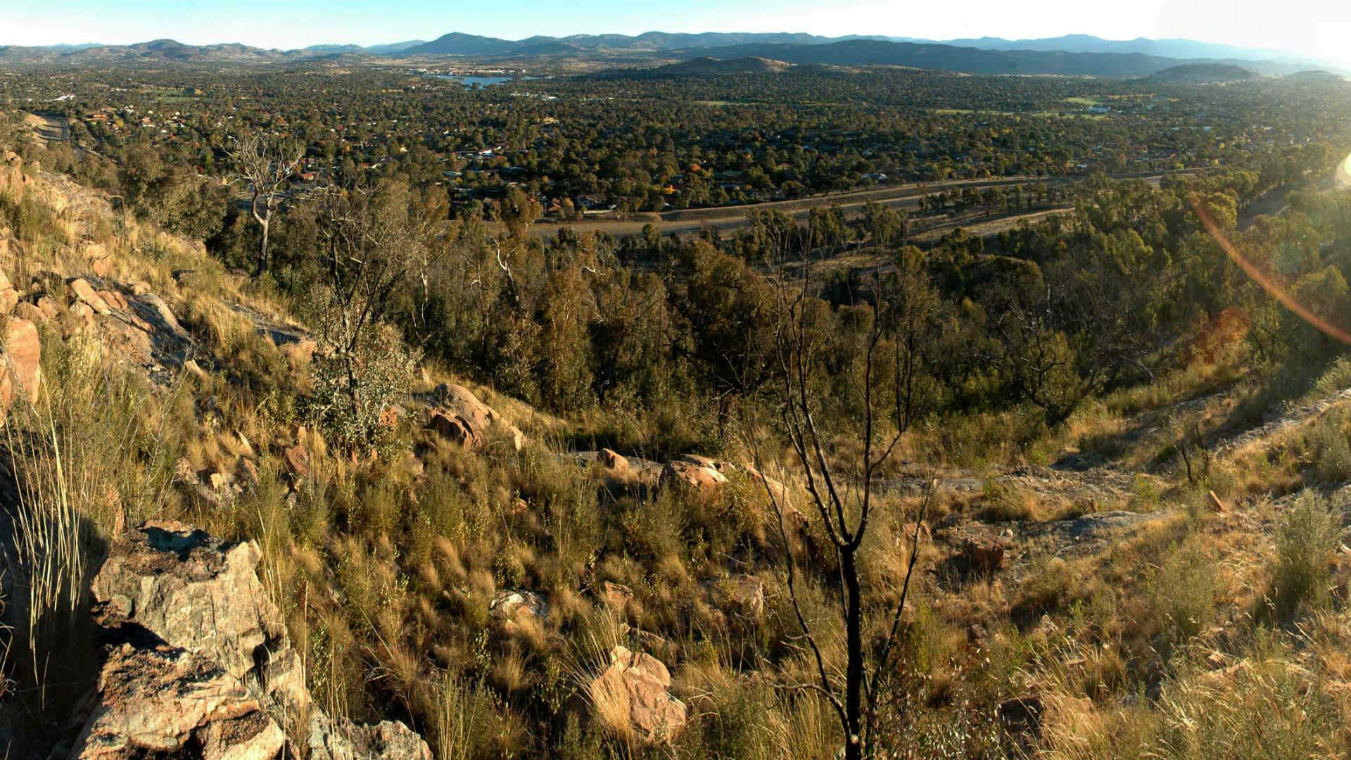 Mount Taylor Summit Walk - Concrete Playground