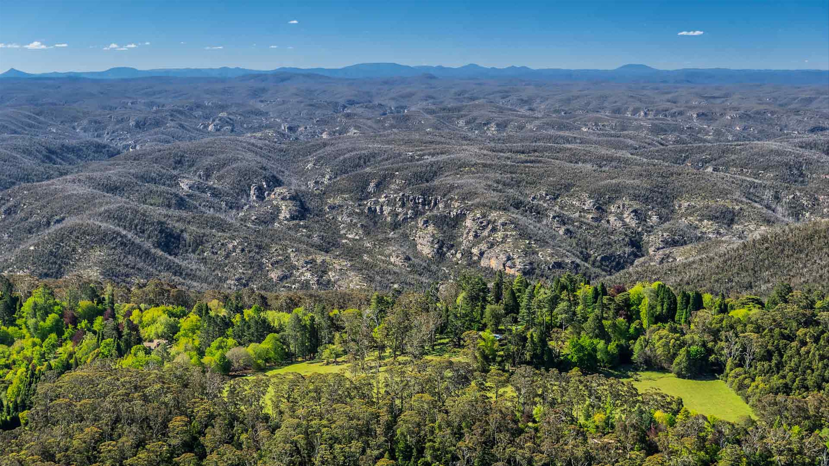 A Weekender's Guide to Bilpin and Surrounds - Concrete Playground