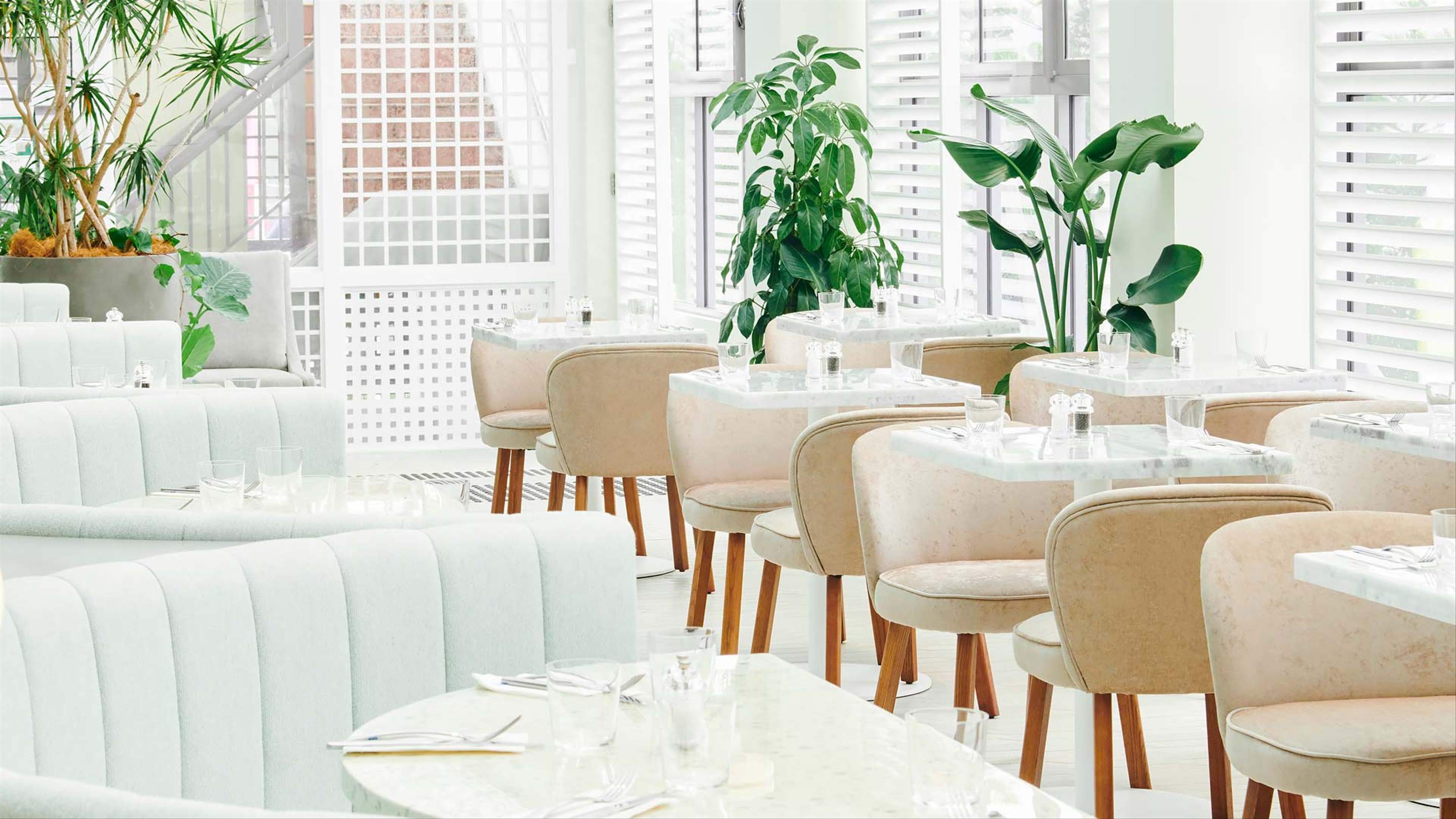 Shutters, Coogee Review