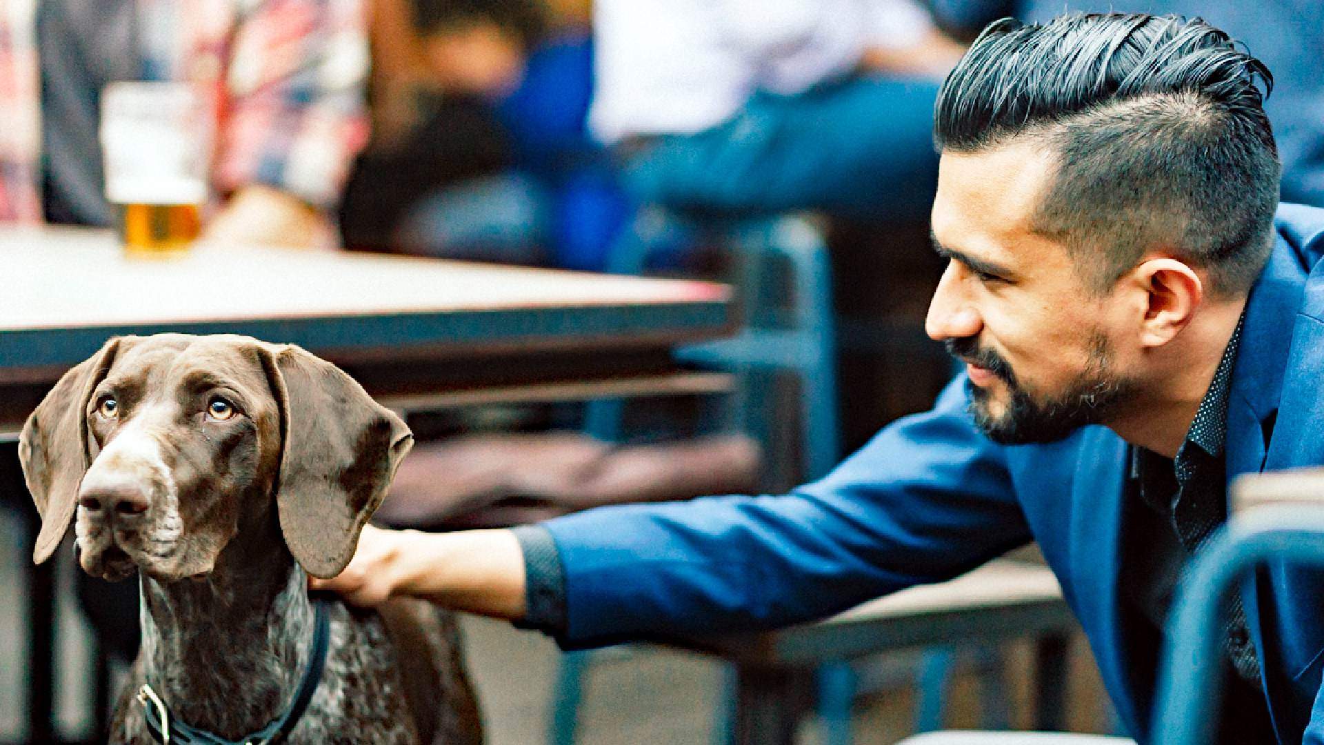 Paws + Pours, Melbourne