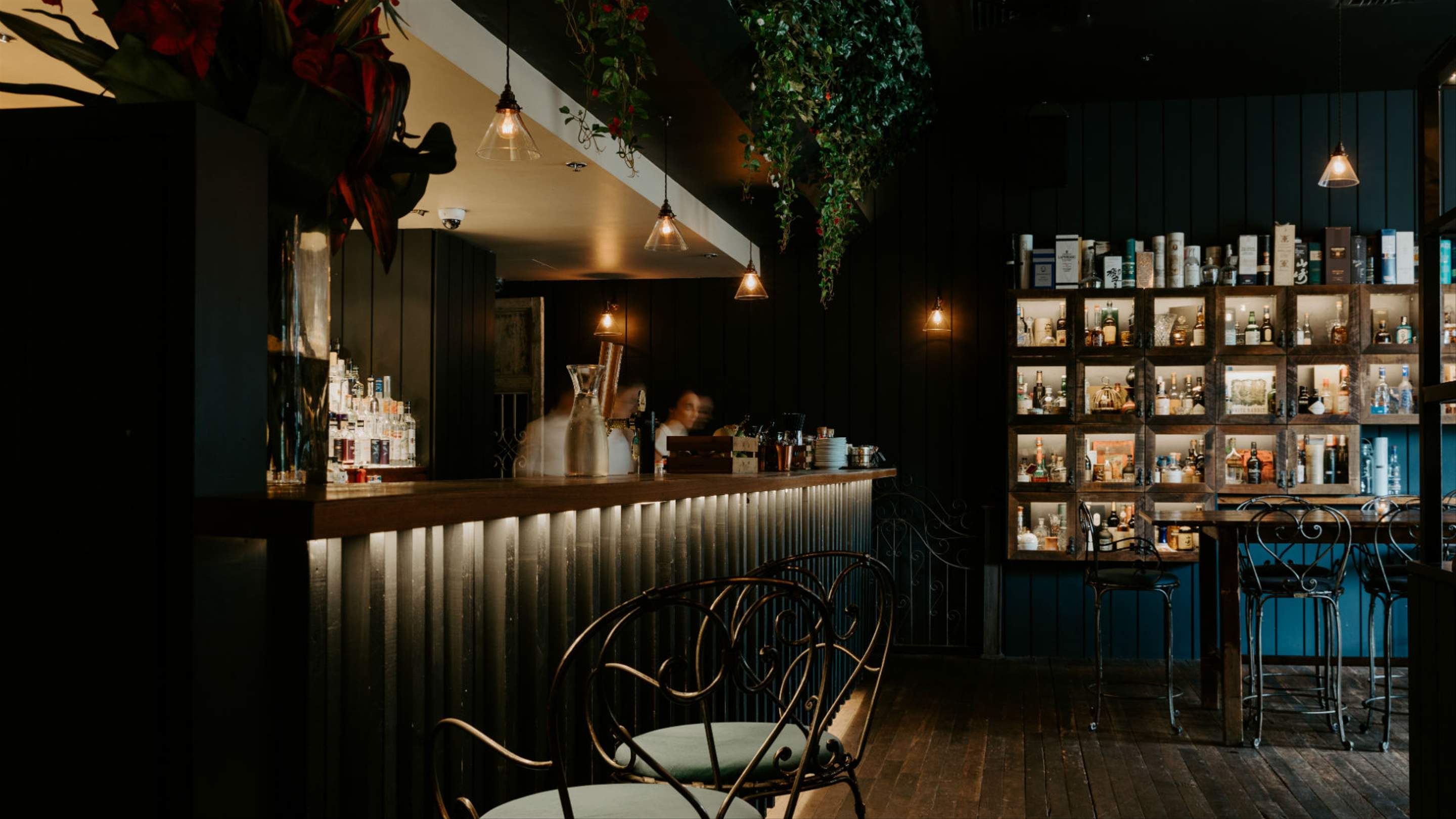 White Rabbit Cocktail Room, Canberra Review