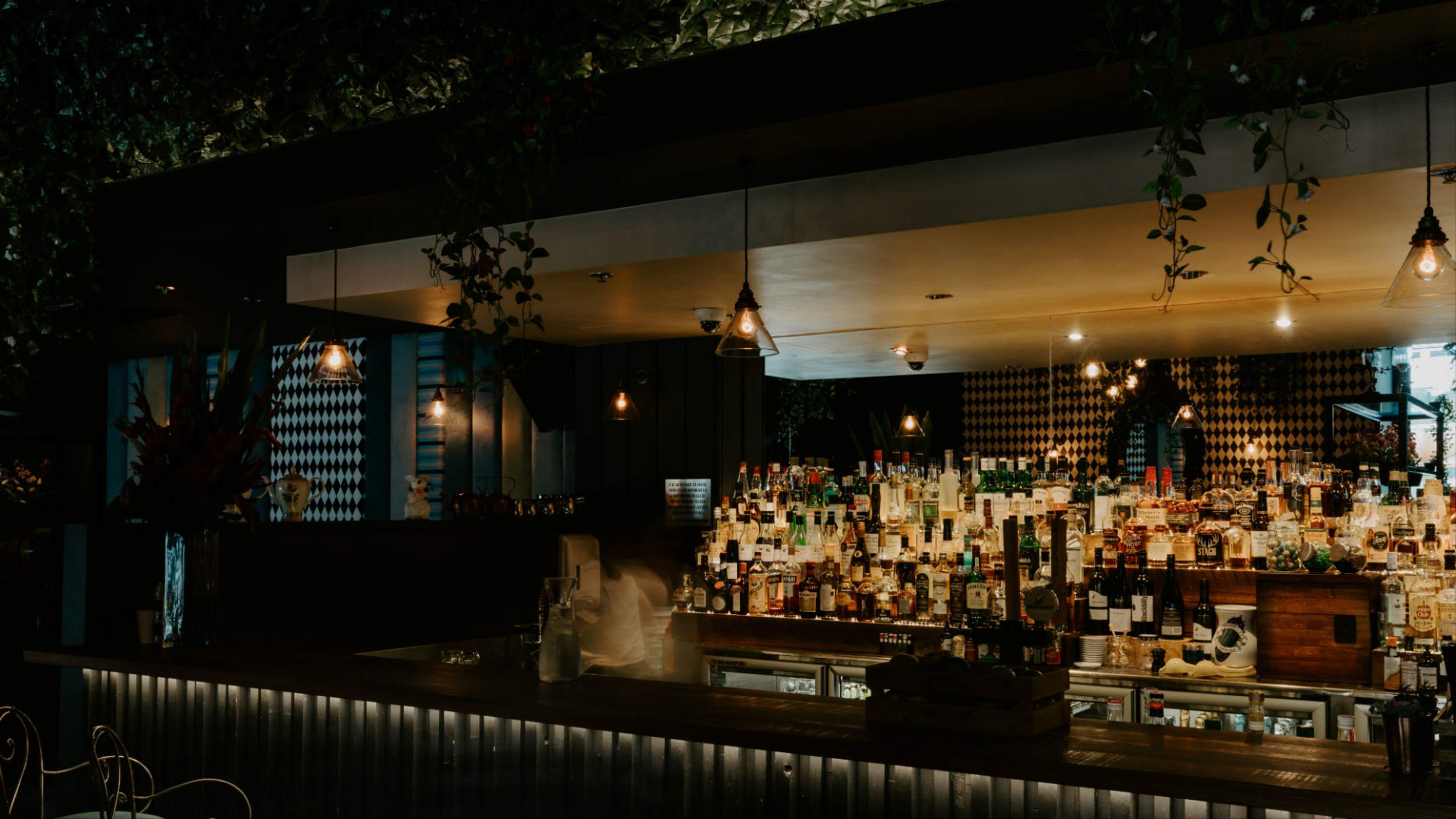 White Rabbit Cocktail Room, Canberra Review