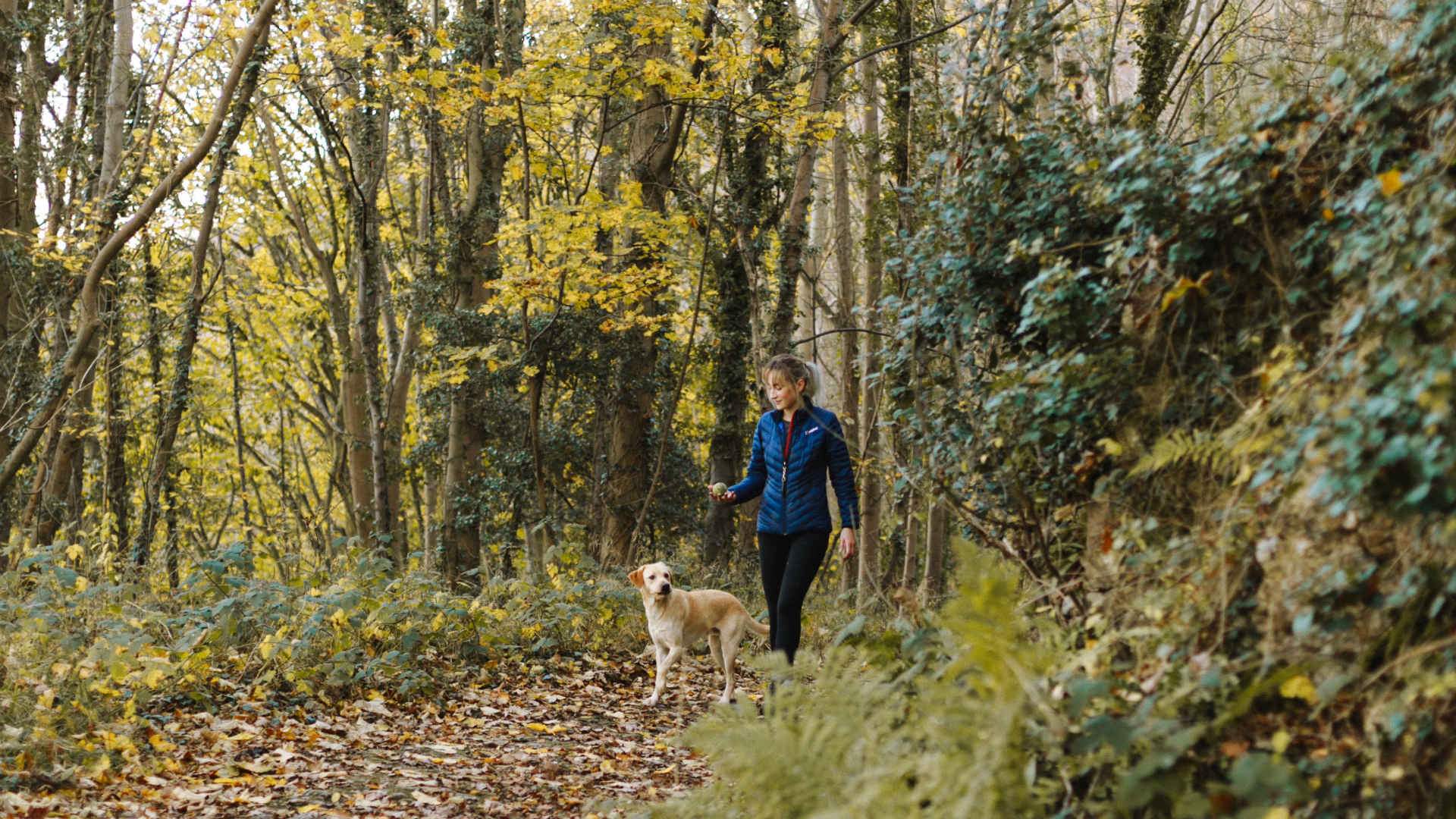 Eight Epic (But Easy) Walks You Can Do with Your Dog in Canberra This ...