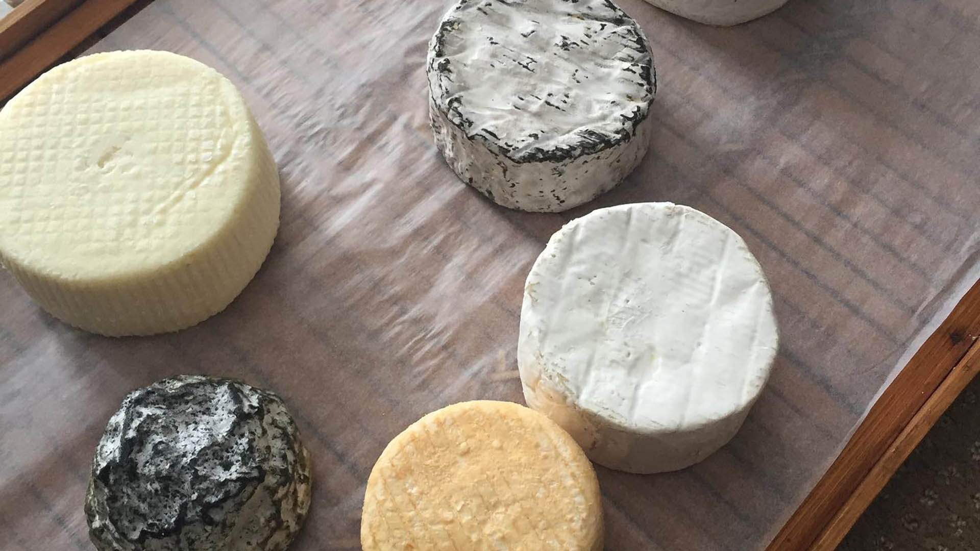 Boatshed Cheese Sale, Melbourne