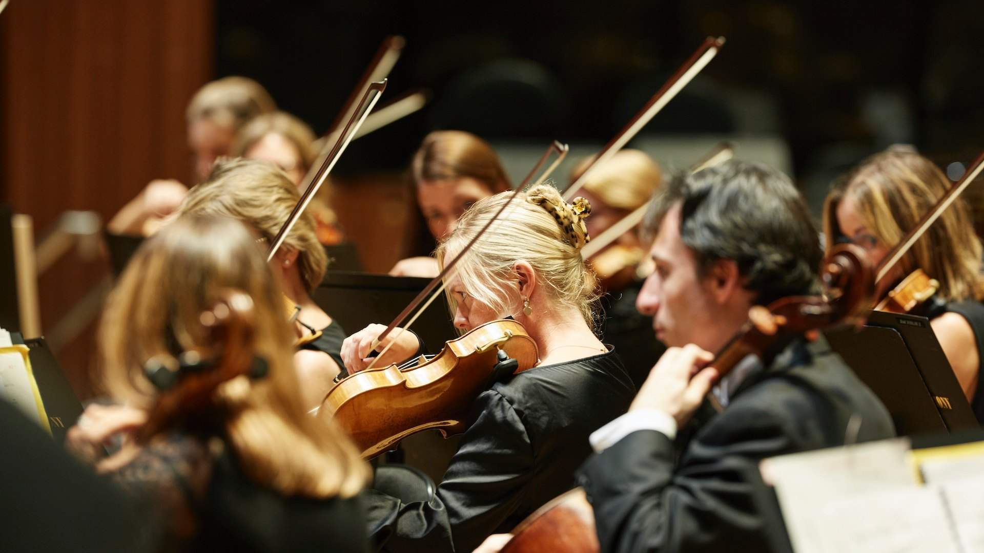Sydney Symphony Under the Stars, Sydney