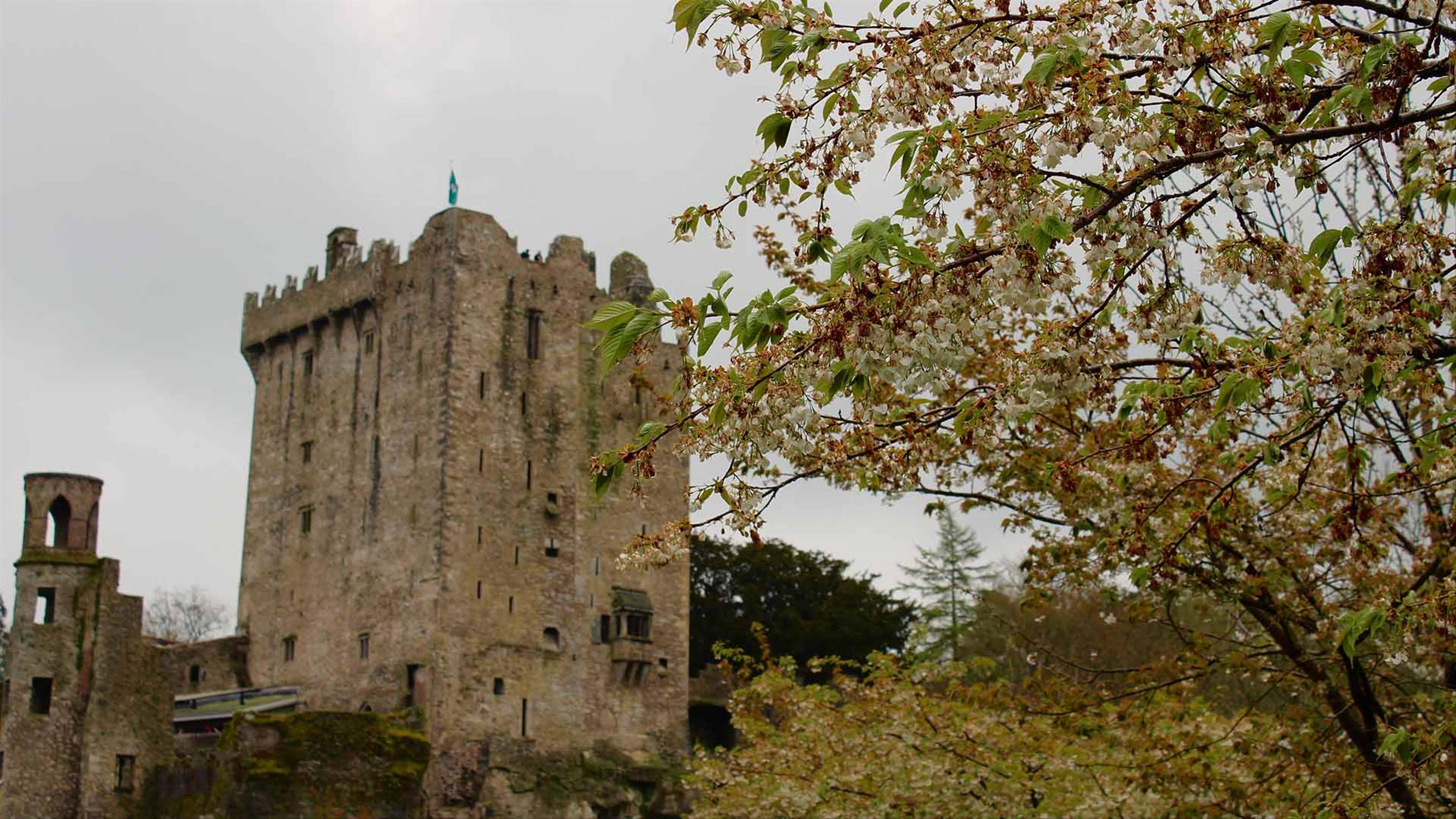 Ten Online Museum, Gallery and Landmark Tours That'll Help You ...