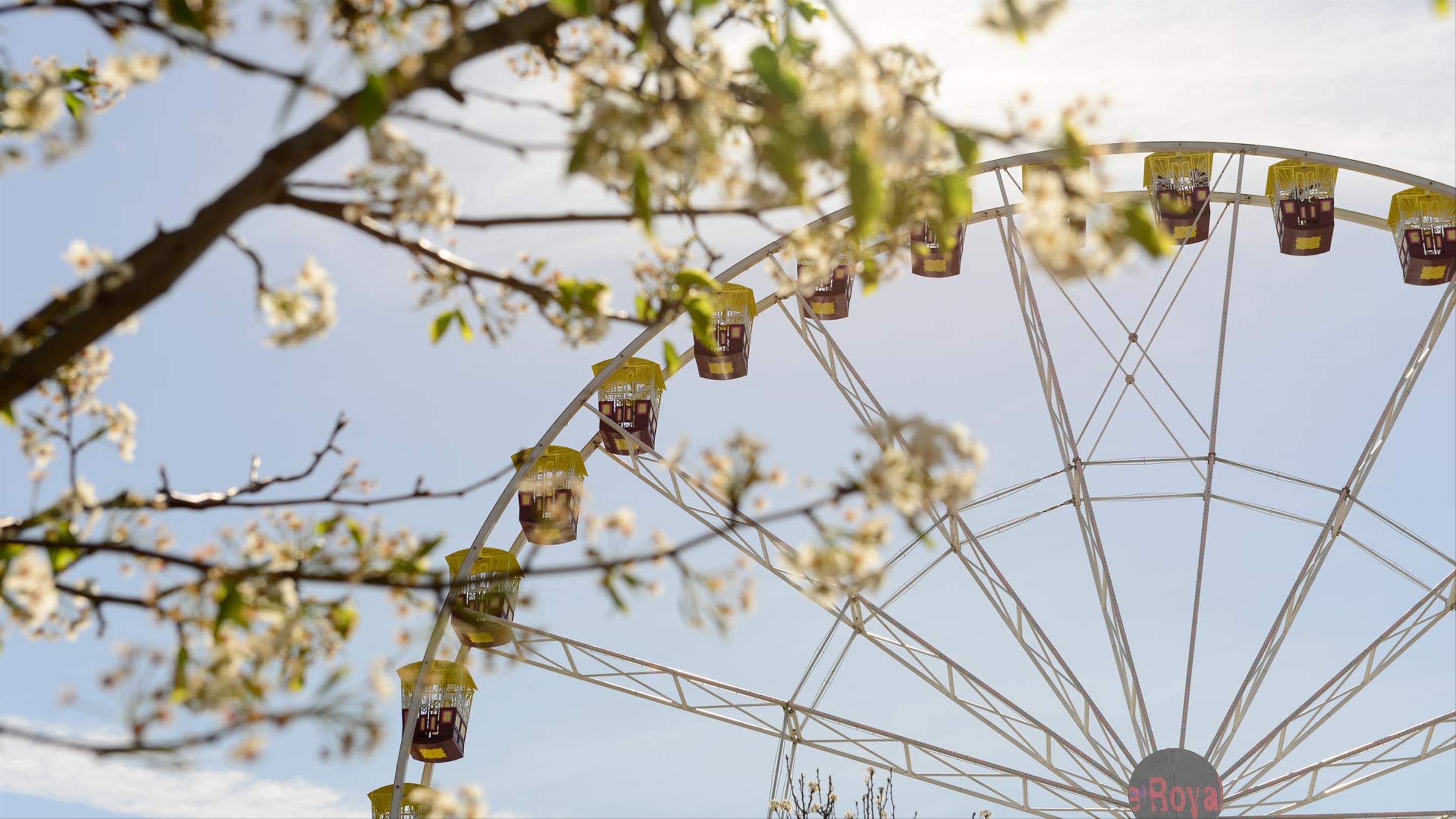 The Royal Melbourne Show Has Announced Its Showbag Lineup for 2025 ...