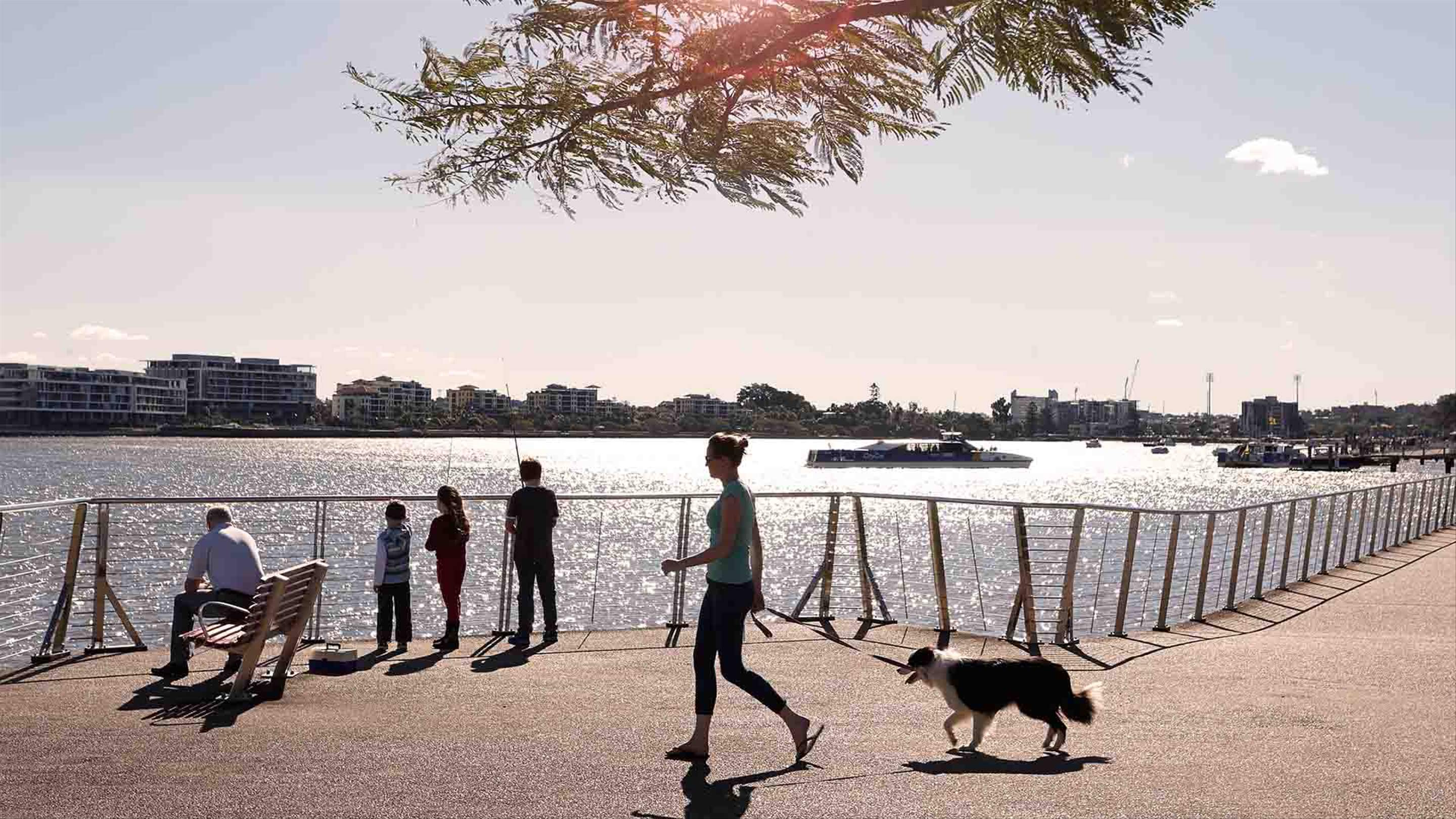 Nine Waterside Picnic Spots in and Around Brisbane That You Might Not ...