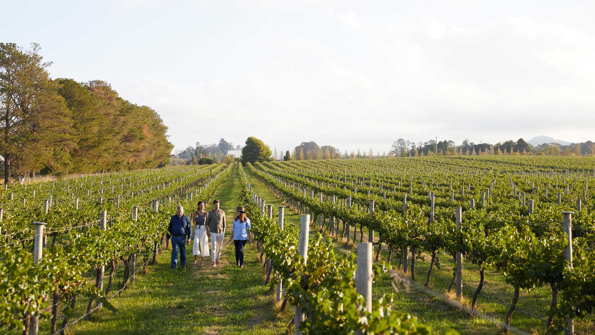 Rowlee Wines, Nashdale Review