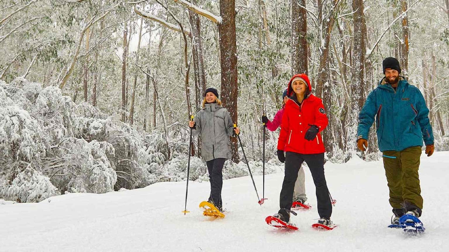 Eight Victorian Snow Experiences That Aren't Just Skiing or ...