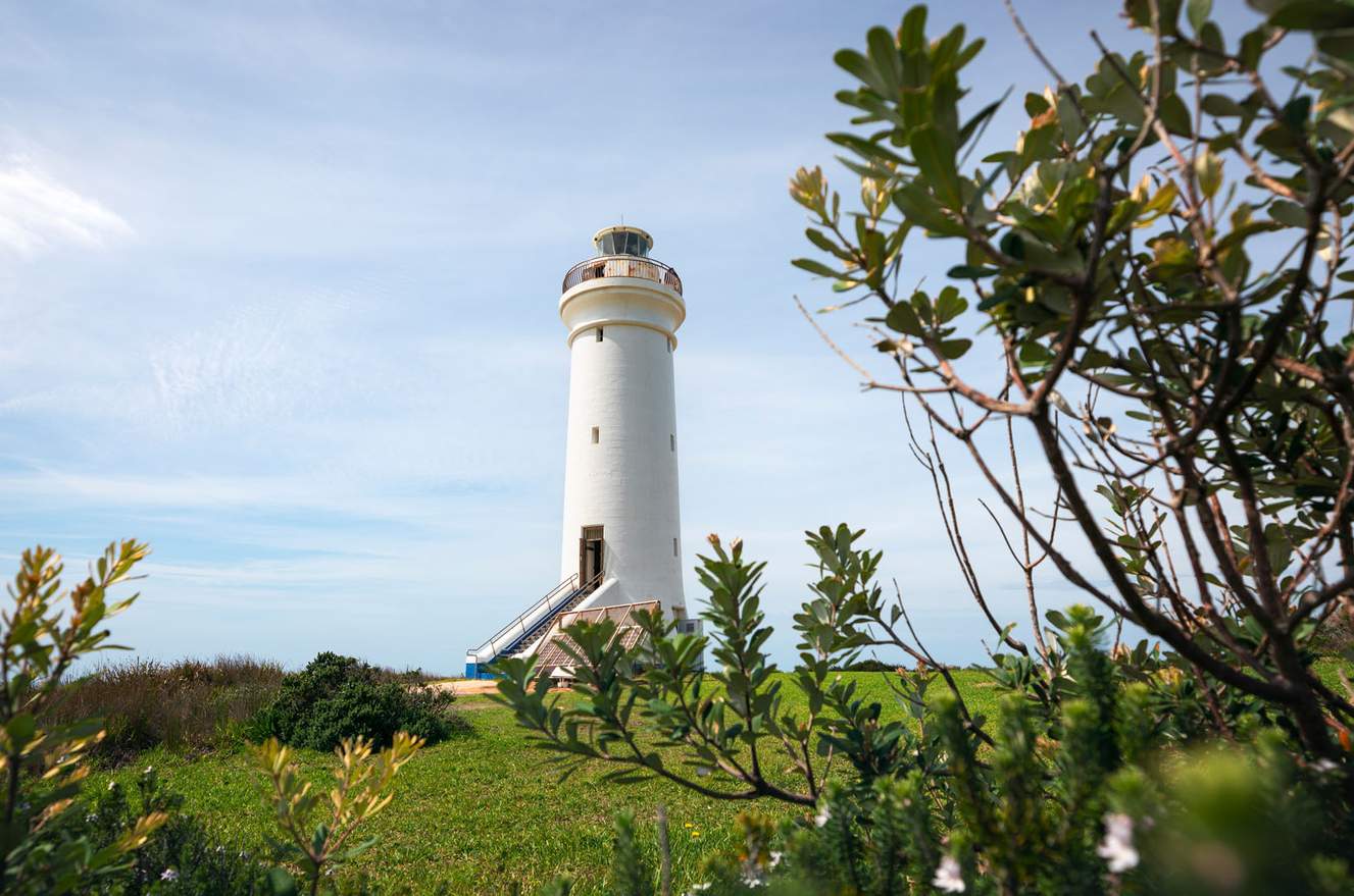 Fingal Island Eco-Walk and Lighthouse Tour - Concrete Playground