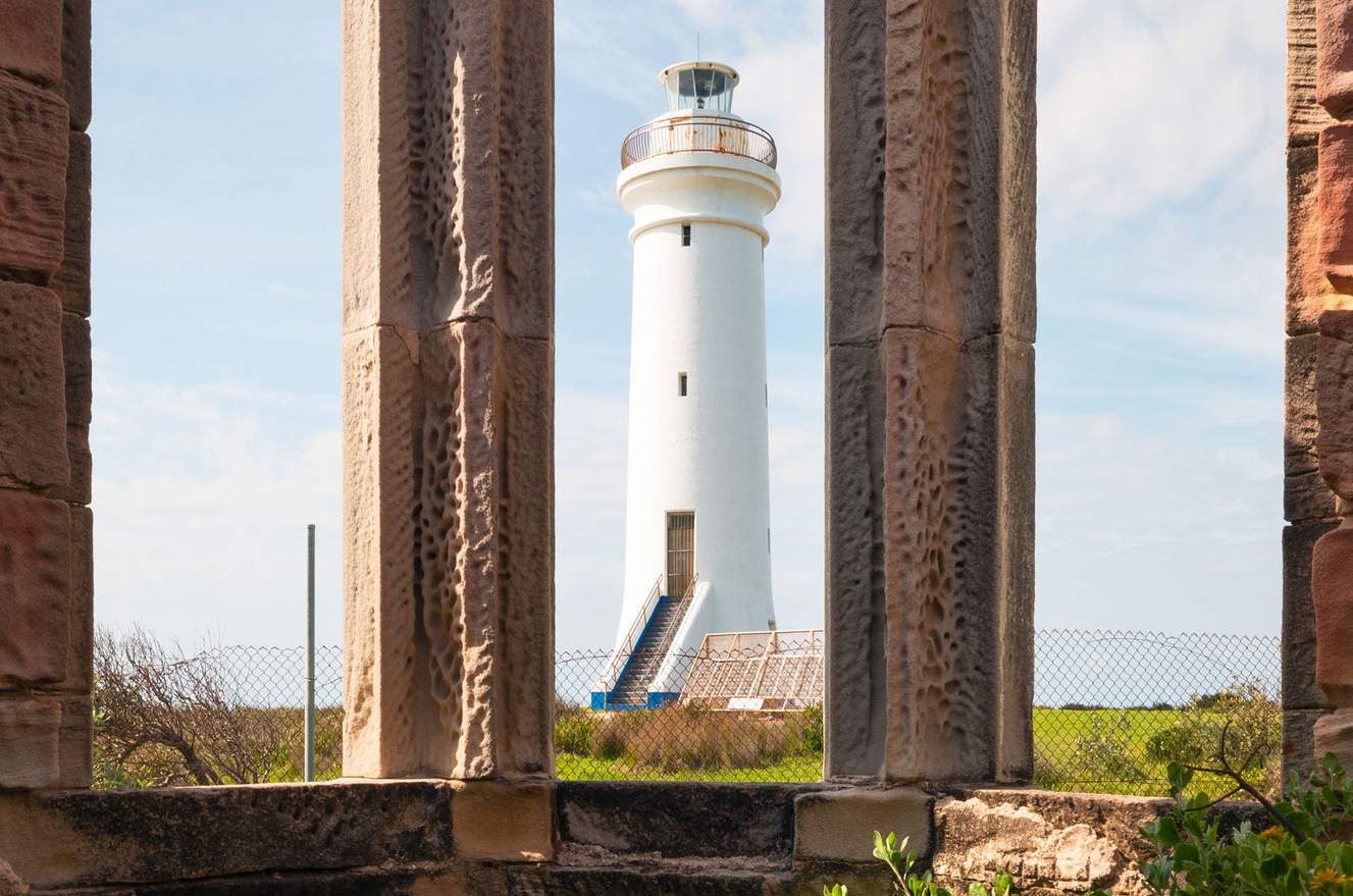 Fingal Island Eco-Walk and Lighthouse Tour - Concrete Playground