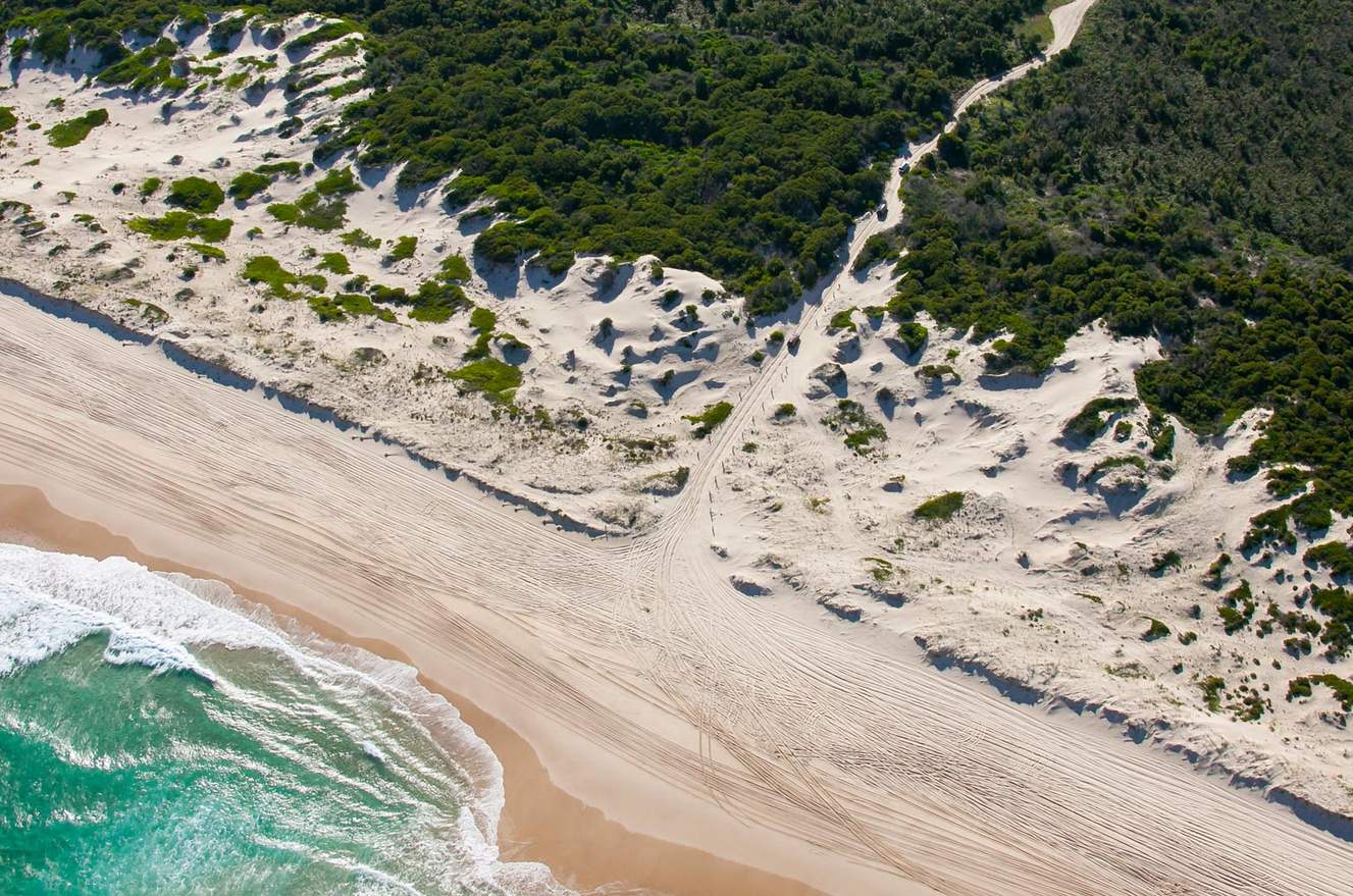 Worimi Forest Walk - Concrete Playground