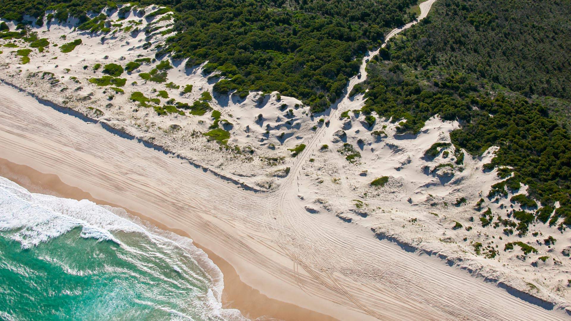 Worimi Forest Walk - Concrete Playground