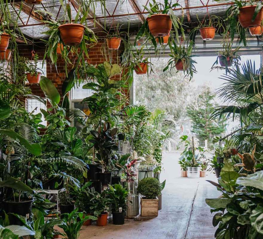 Botanicah - Concrete Playground