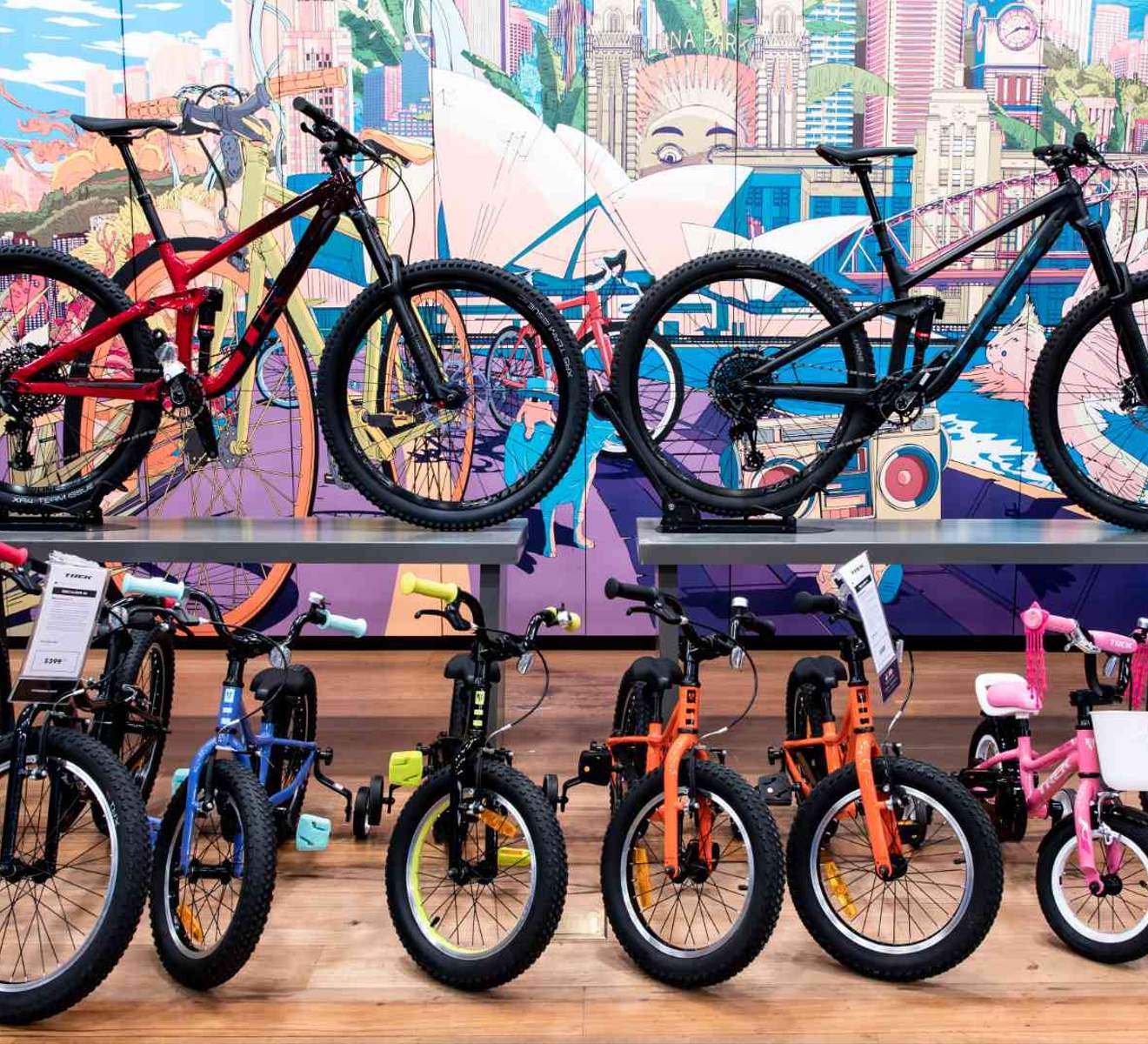 Clarence St Cyclery - Concrete Playground