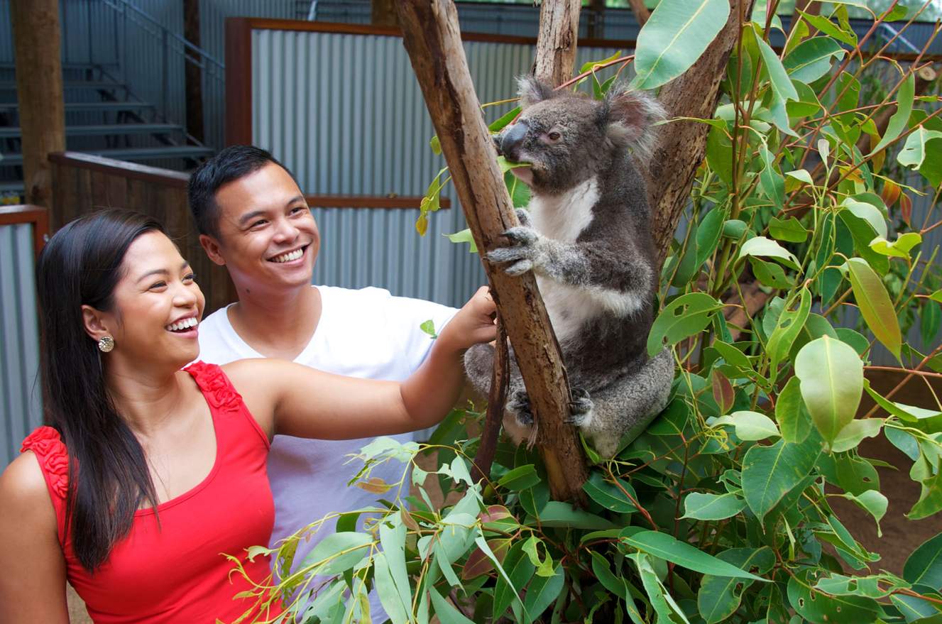 Oakvale Wildlife Park - Concrete Playground