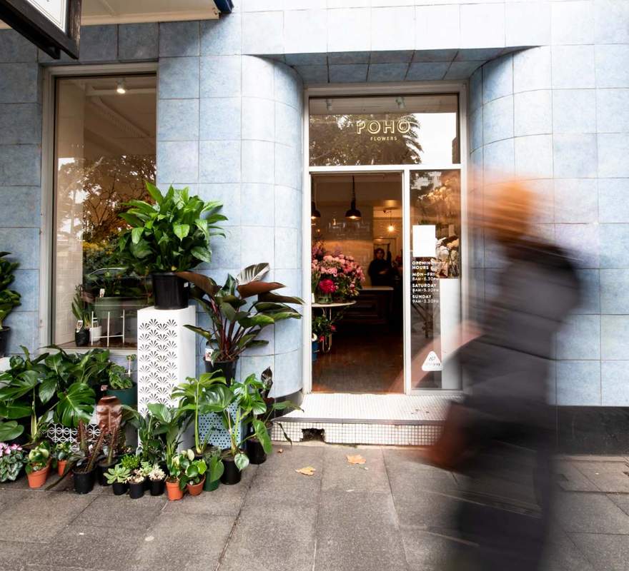 Poho Flowers - Concrete Playground