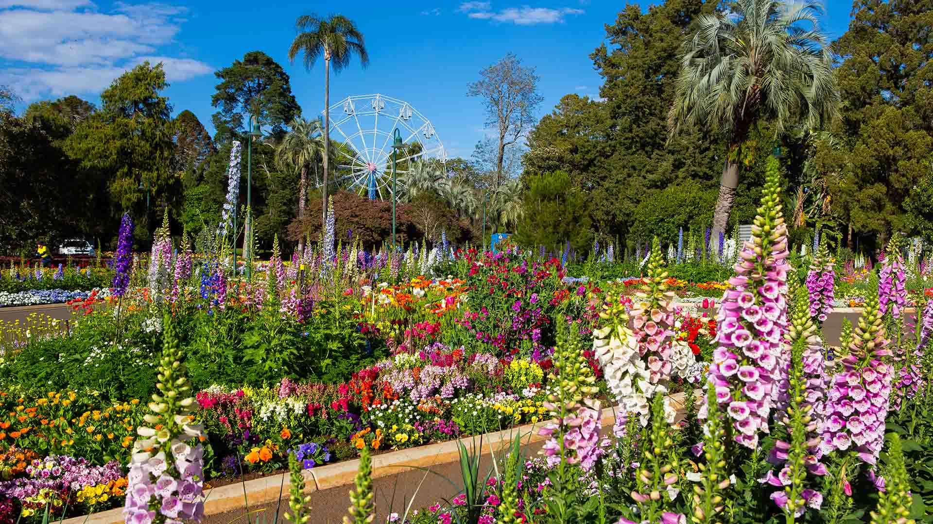 Toowoomba Carnival of Flowers 2021 - Concrete Playground