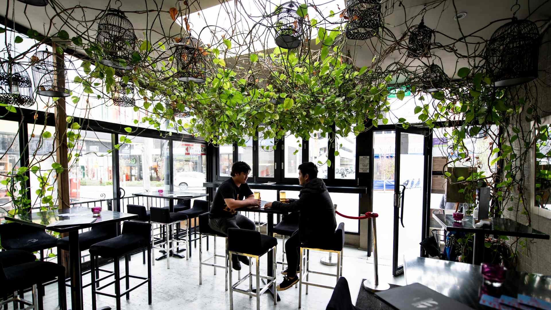 The Crow Bar, Crows Nest Review