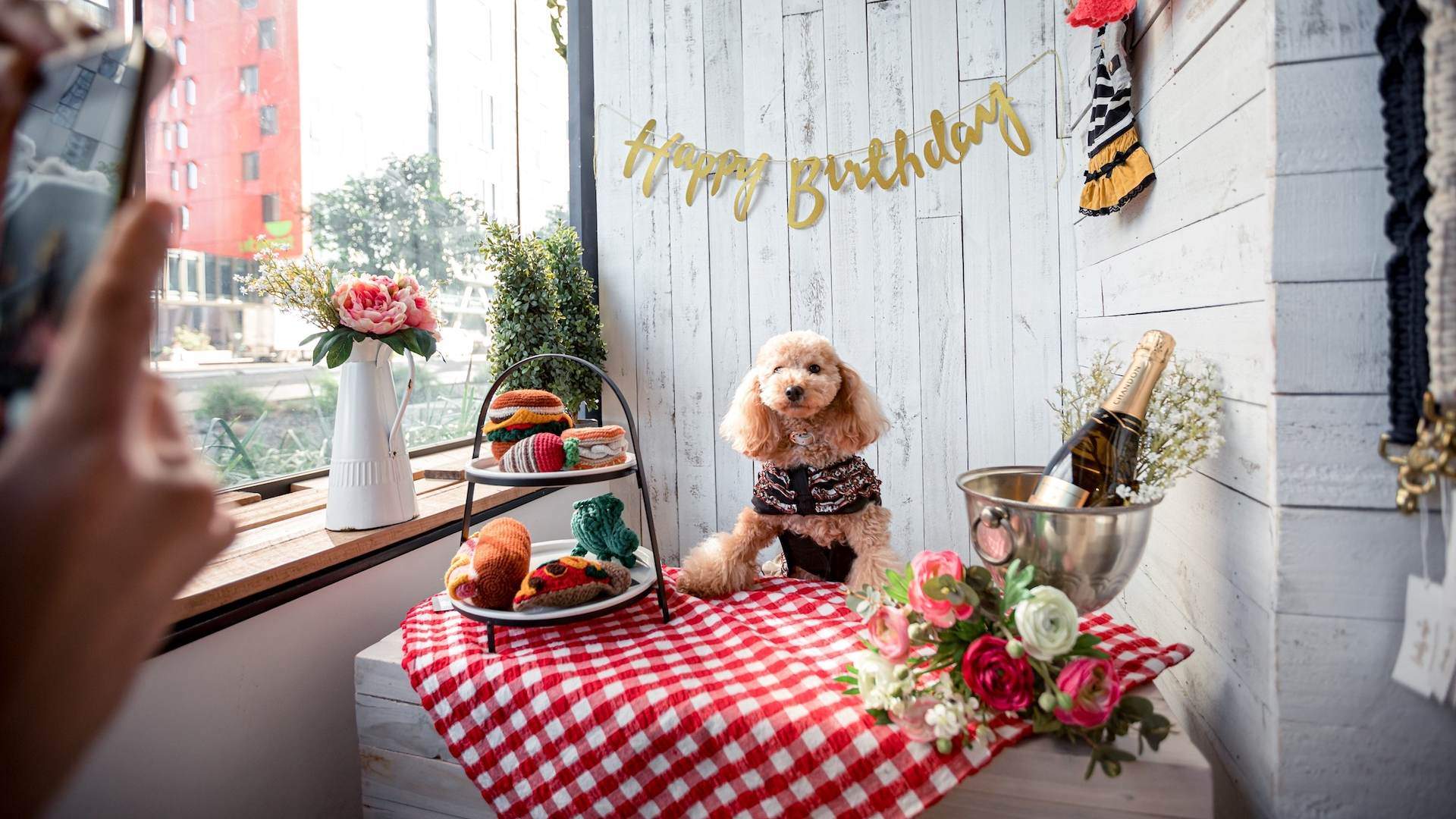 A Toastie Cafe, Hotpot Restaurant and Dog Spa Are the Newest Residents ...