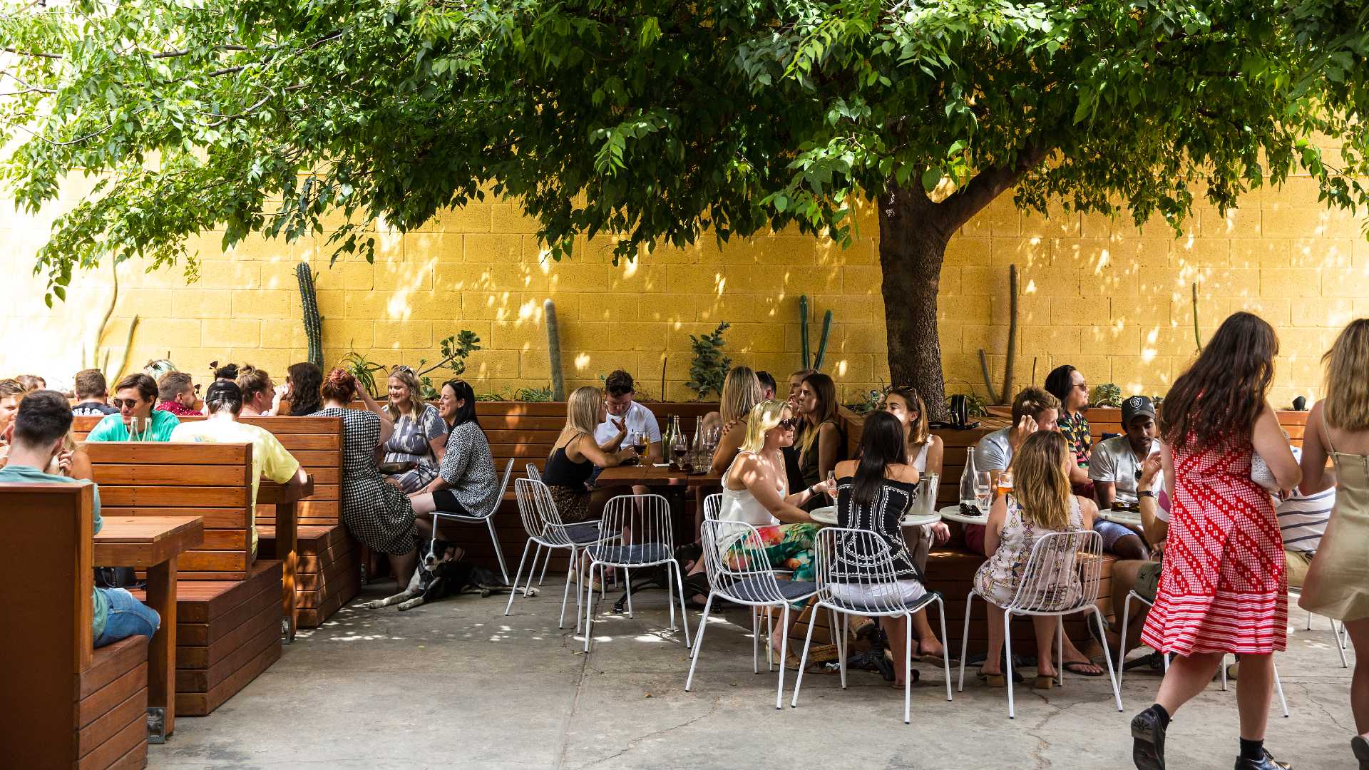 Oddio, Bowden Review