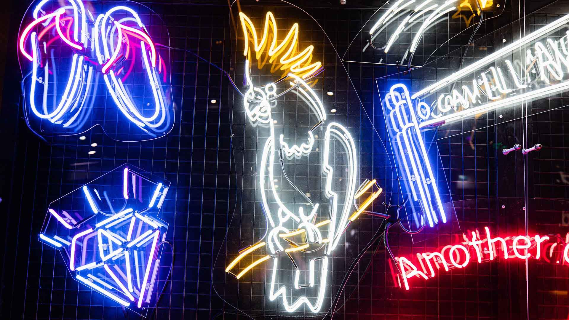 Neon Paradise, Brisbane