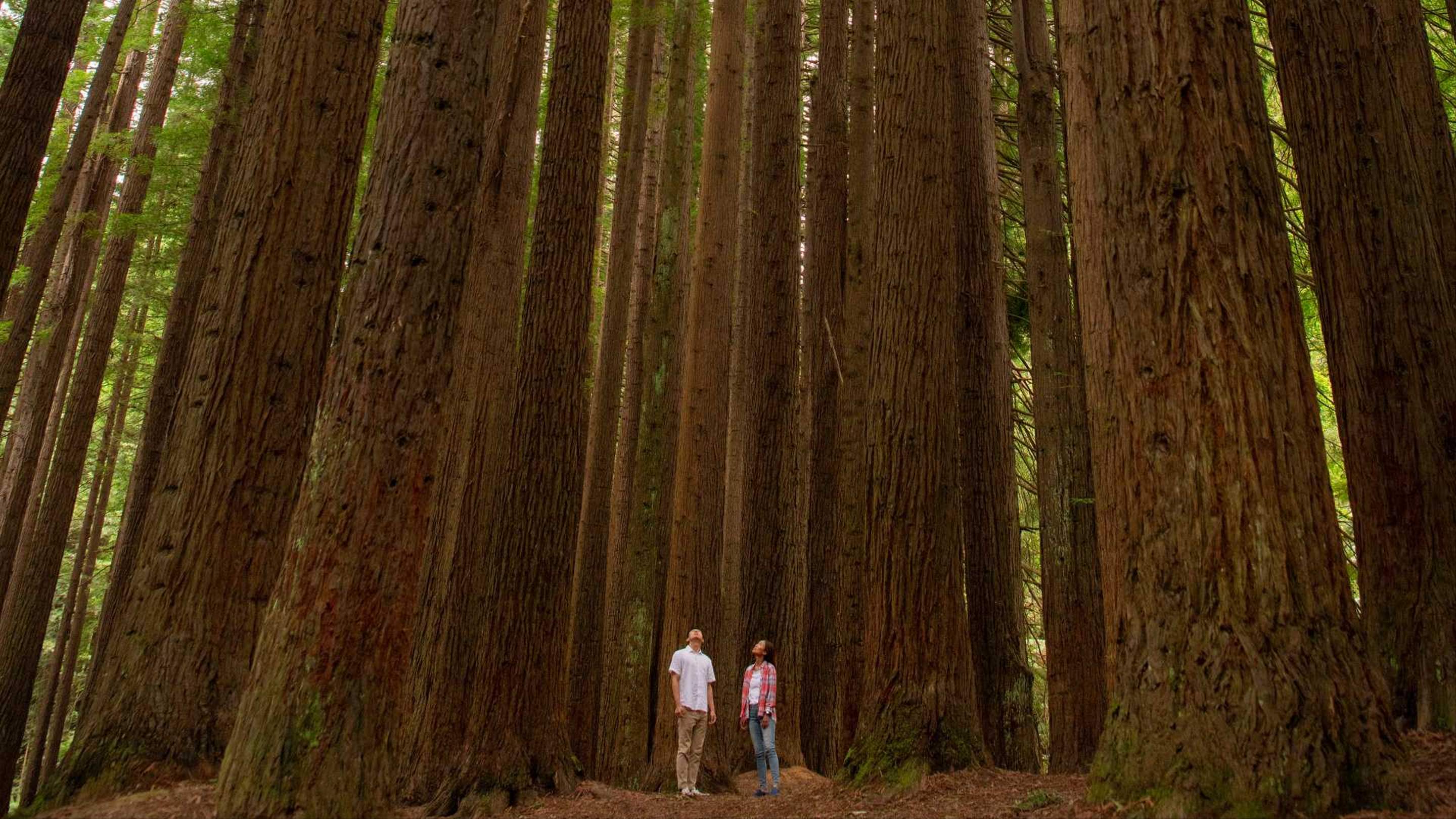 Eight Unexpected Natural Wonders to Visit Around Victoria