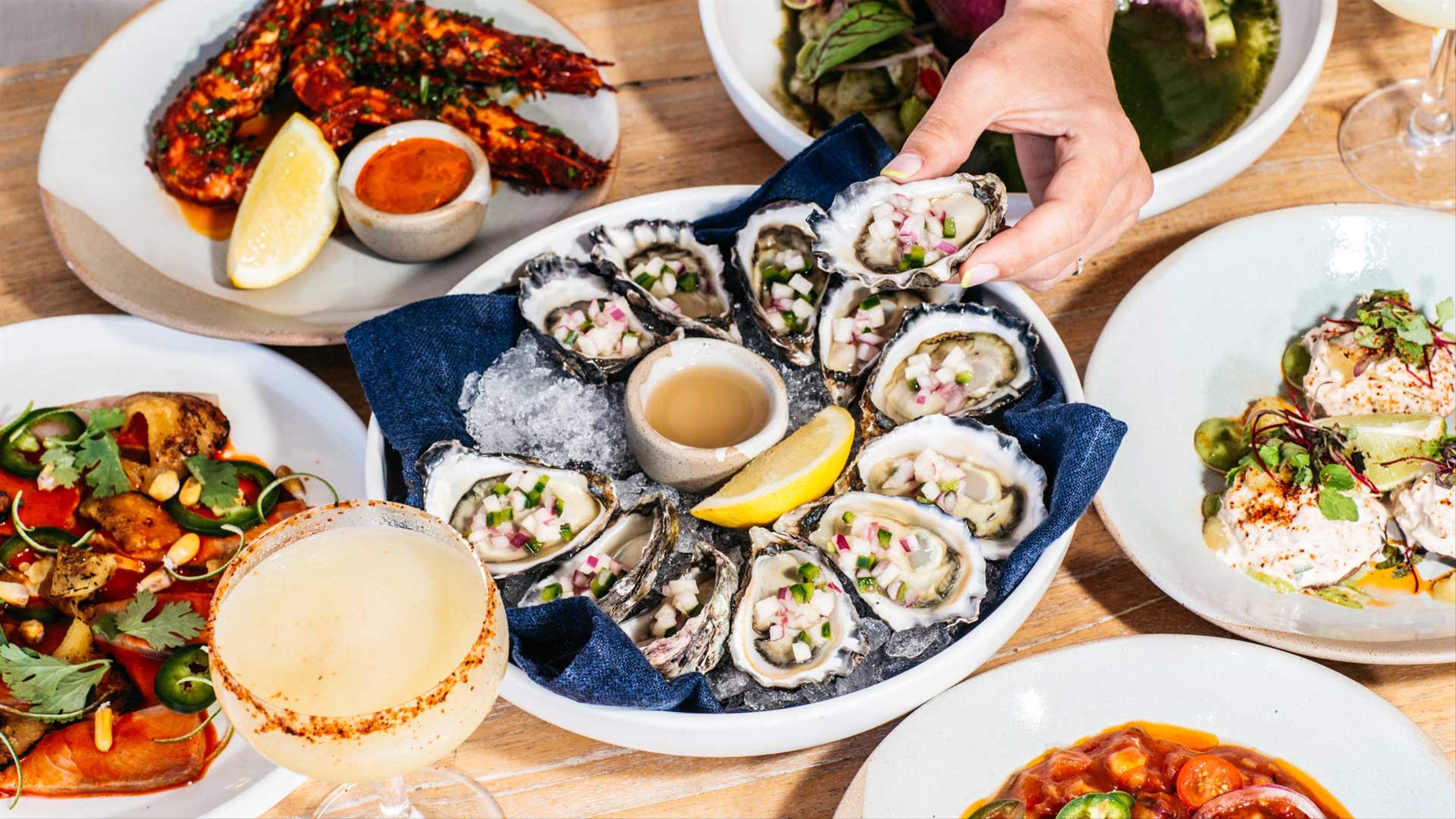 Calita - CLOSED, Bondi Beach Review