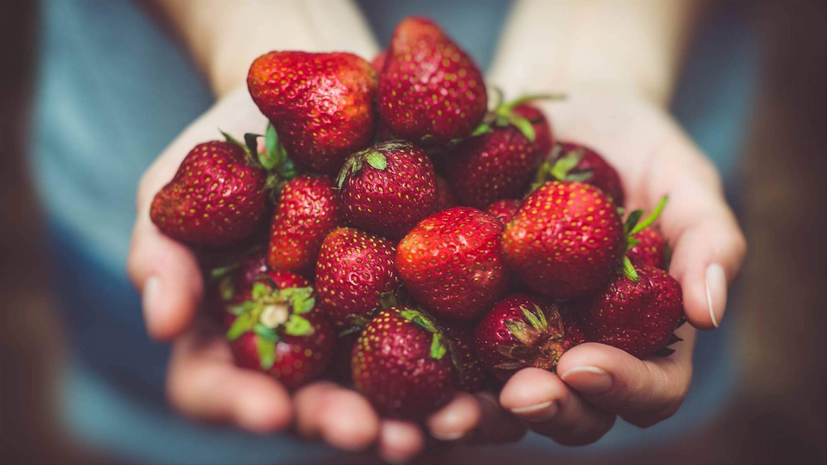 Five Places Where You Can Pick Your Own Summer Berries Near Wellington ...