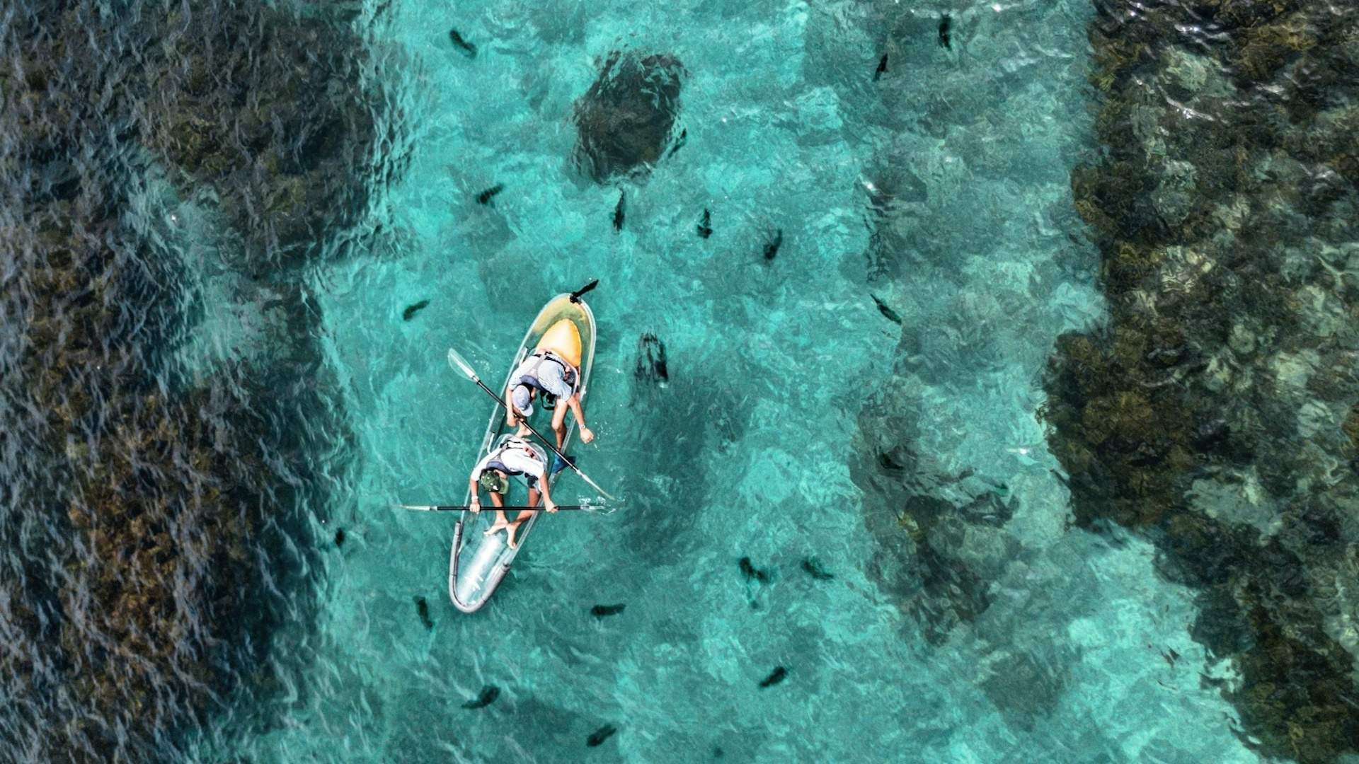 Eight Brilliant On-Water Experiences That You Should Book for Summer ...