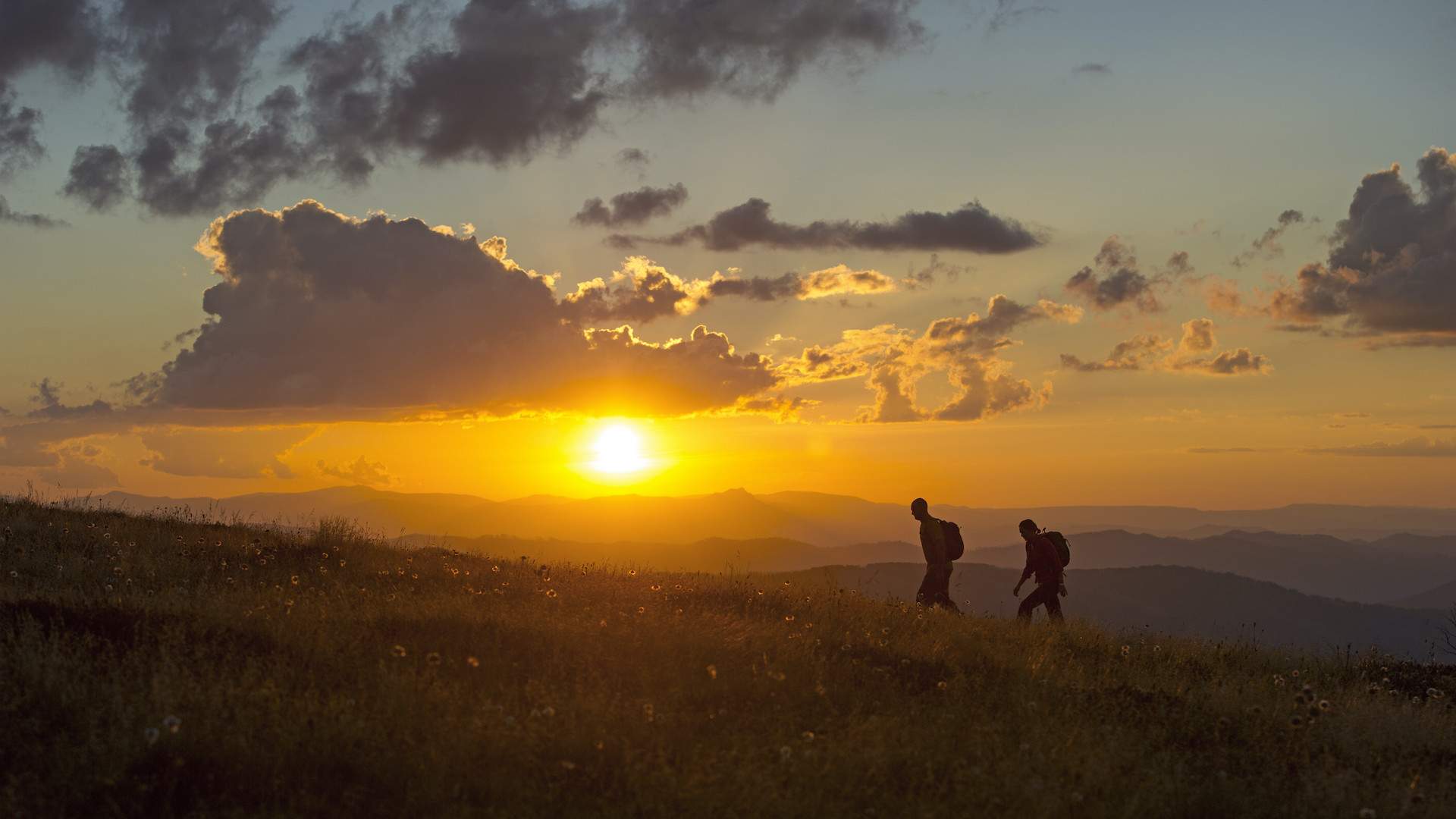 89 Highly Awesome Outdoor Melbourne Adventures to Try