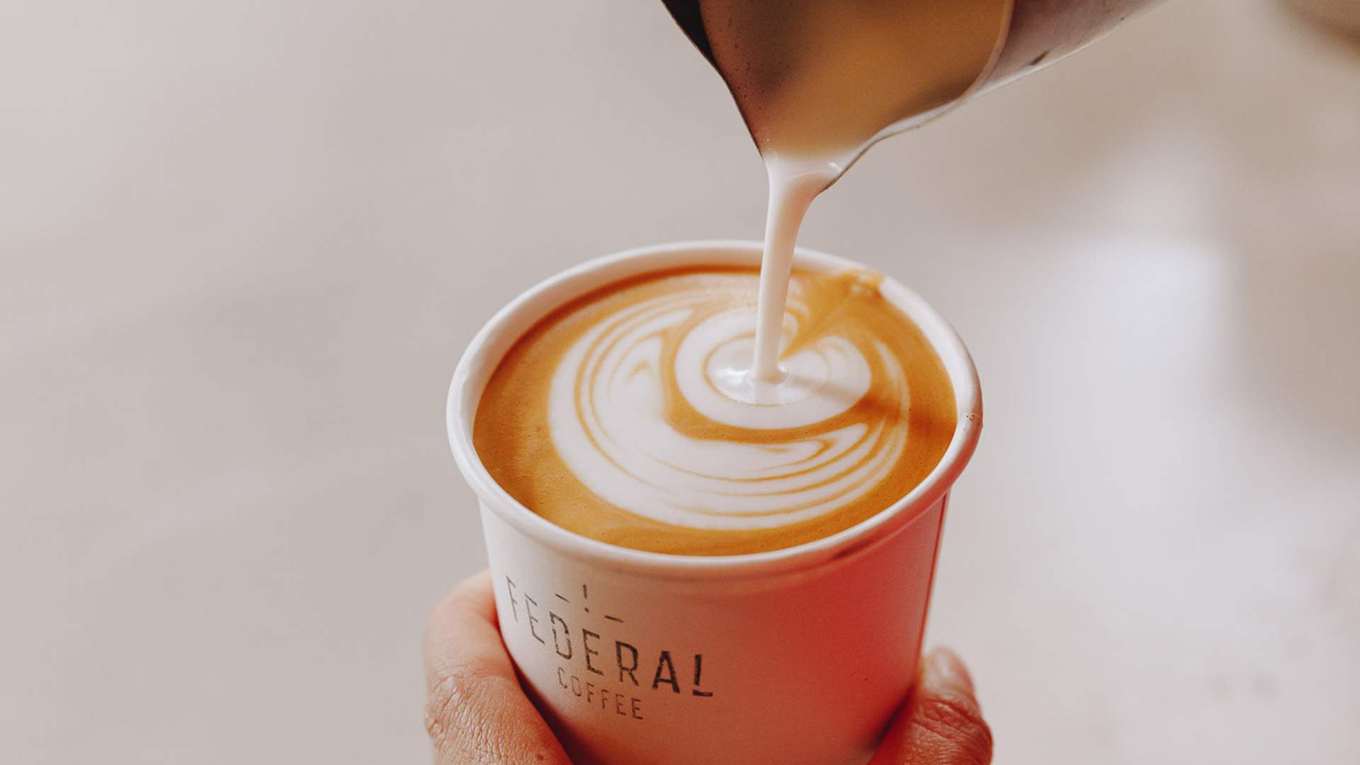 Free Coffee at Federal Coffee - Concrete Playground