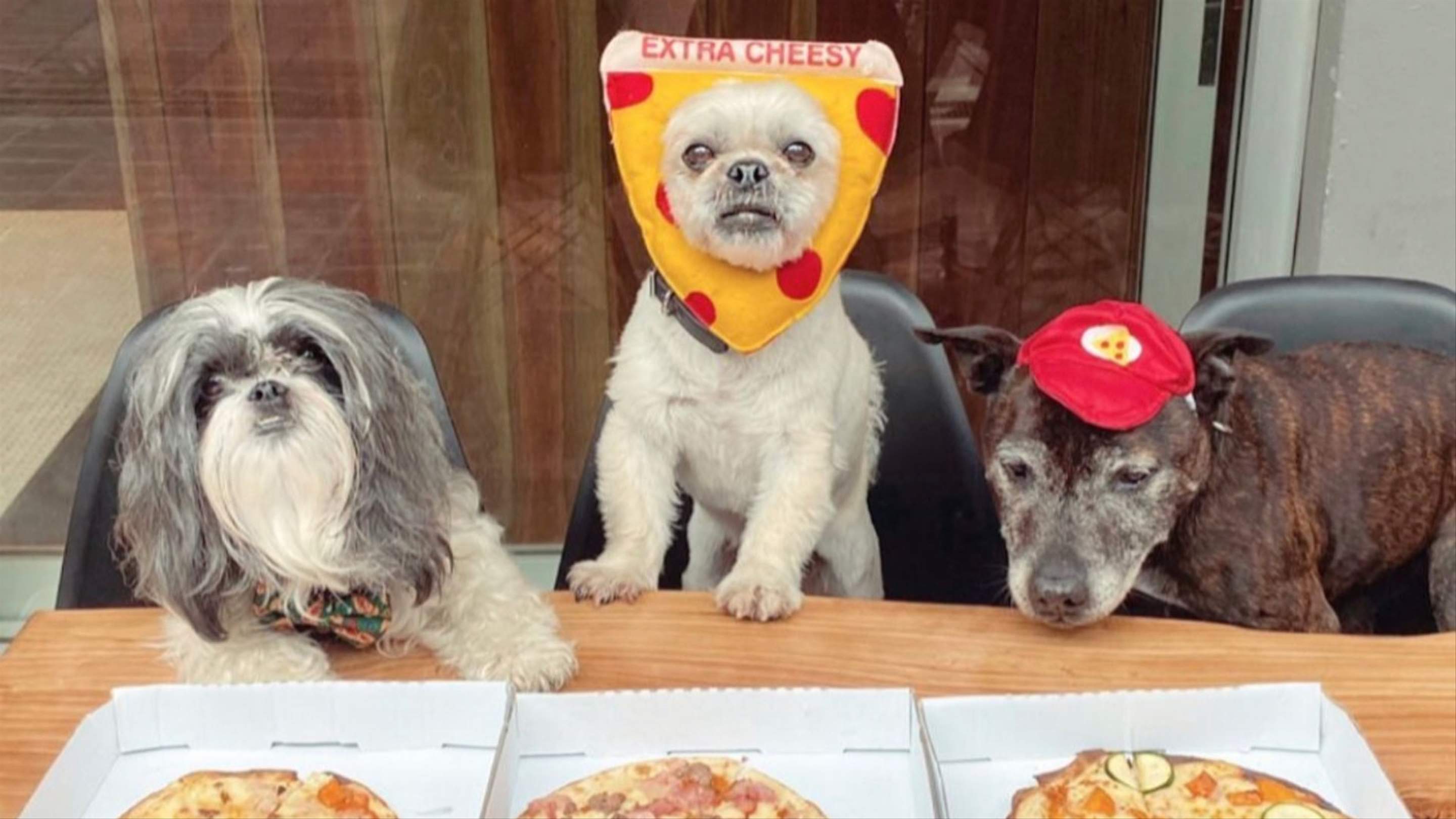 Brooklyn Crispy - CLOSED, Potts Point Review