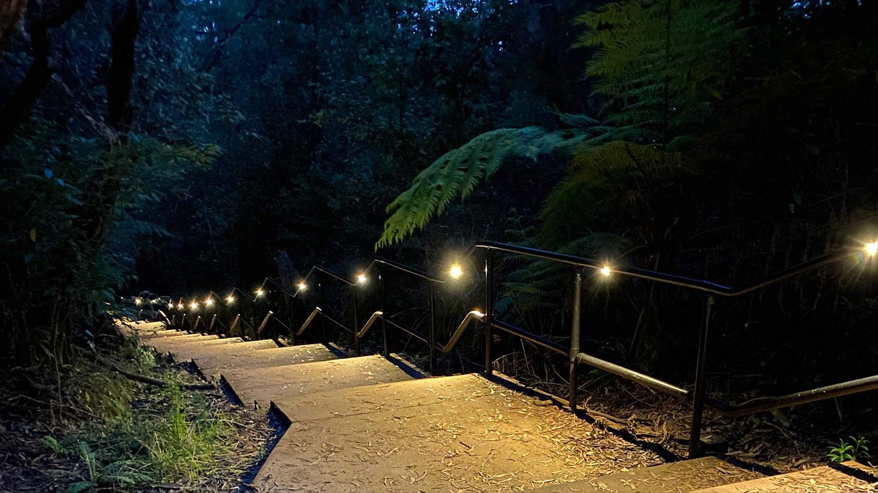 You Can Now Hike This Illuminated Night Walk Through the Katoomba Falls ...