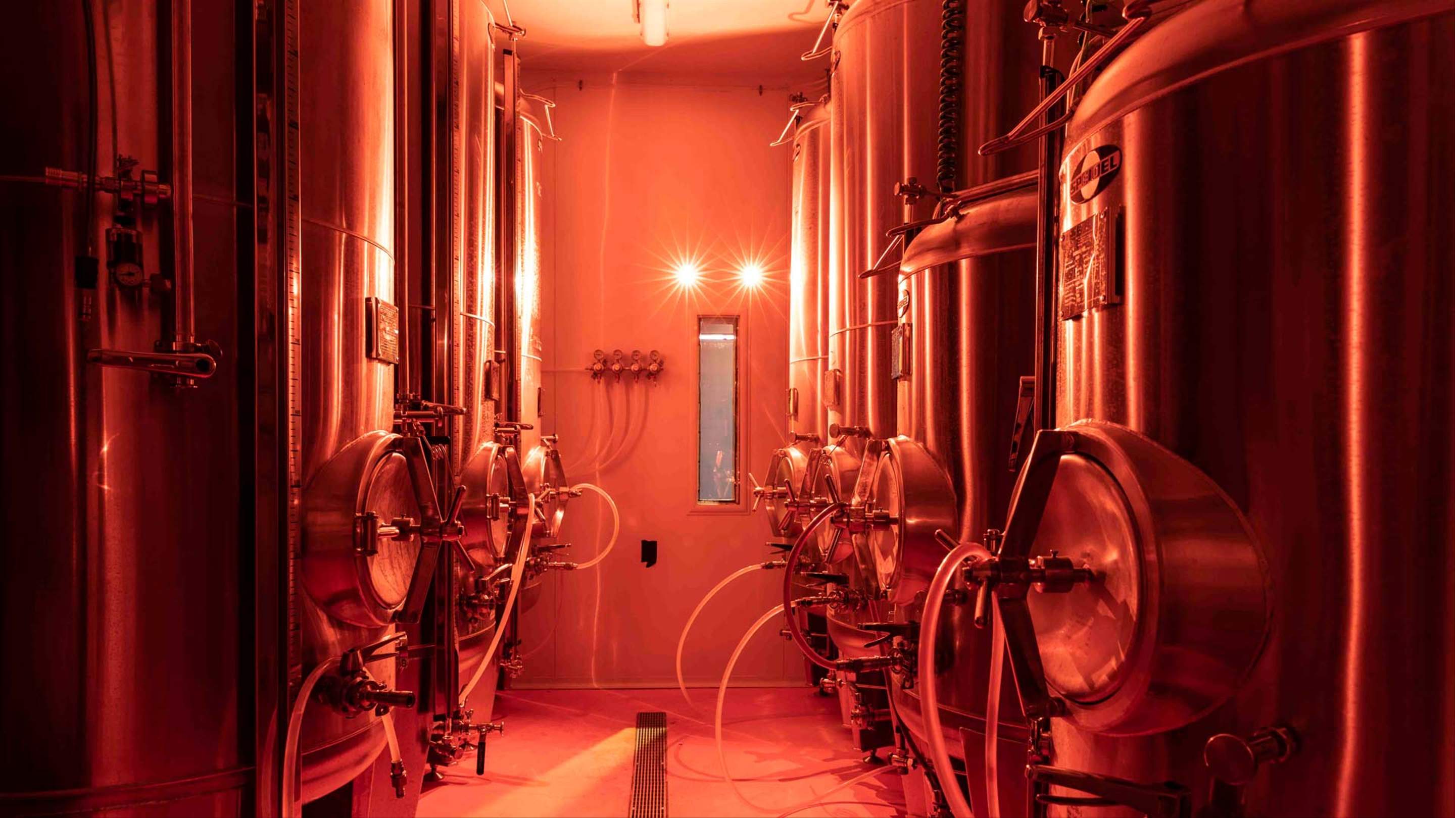 Nice Guys Brewery and Bar, Richmond Review