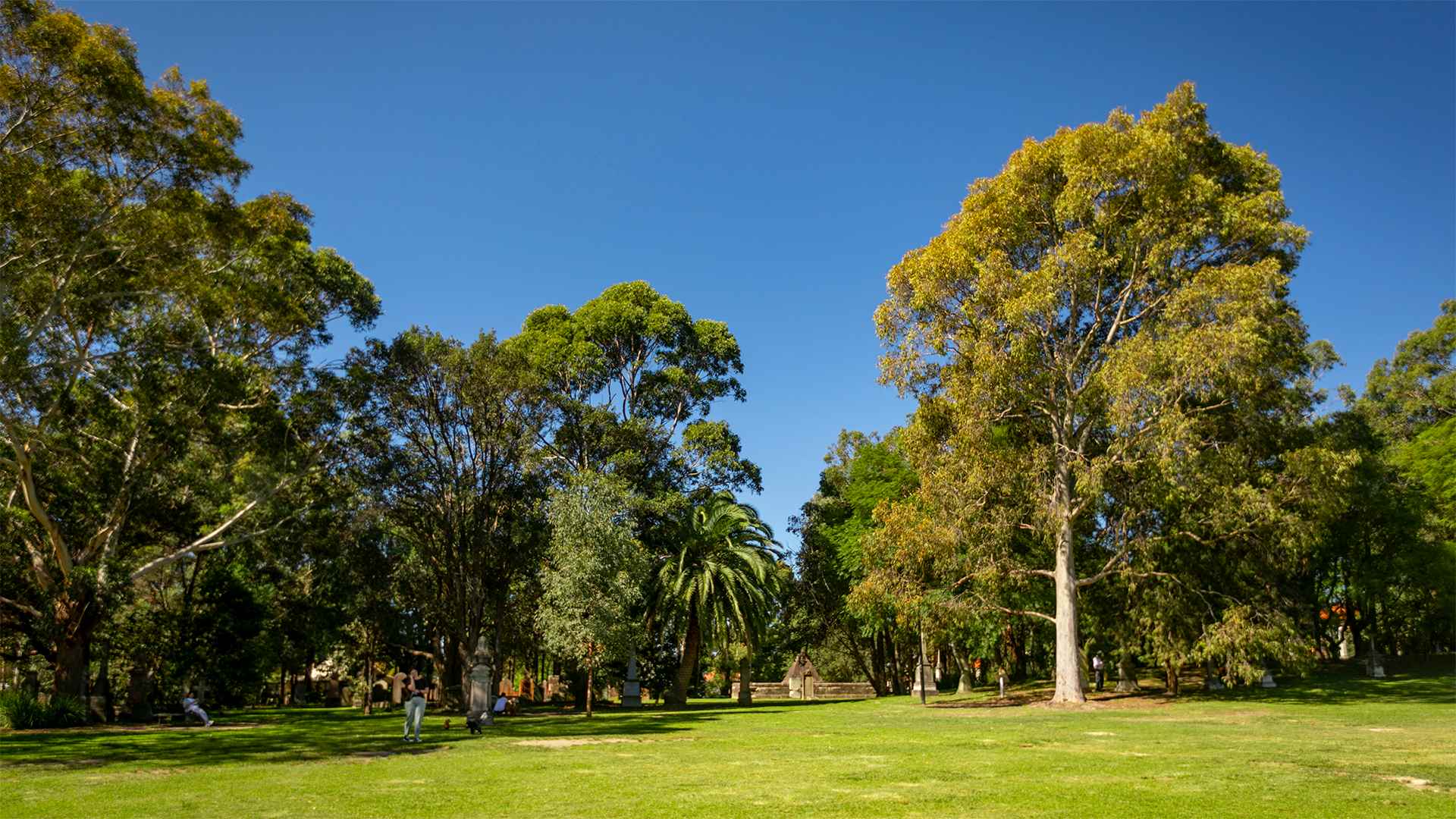 St Thomas Rest Park - Concrete Playground