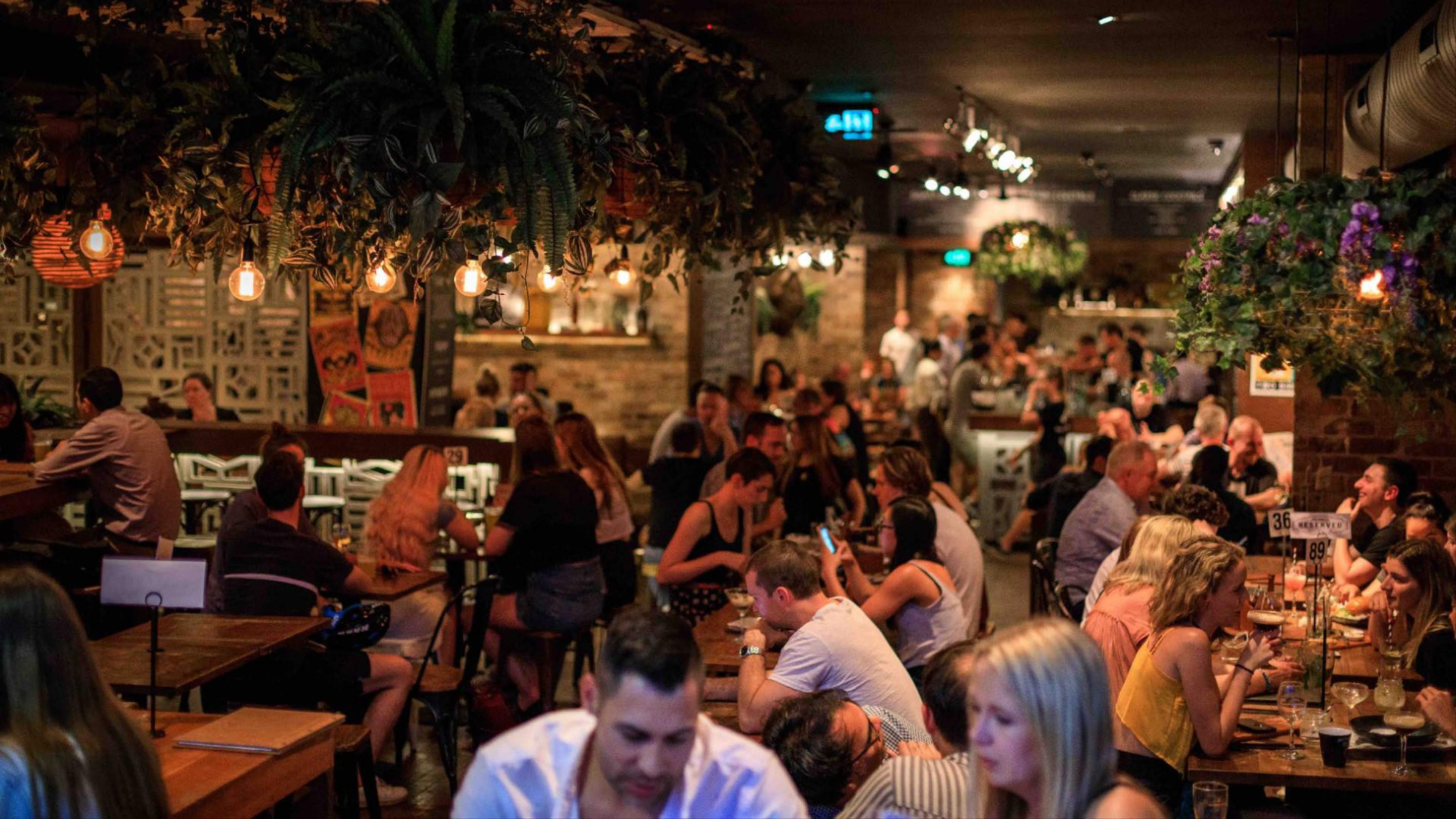 The Stoned Crow, Crows Nest Review