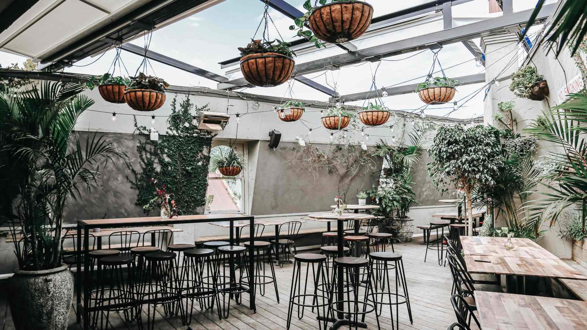 Elm Rooftop Bar - CLOSED, Darlinghurst Review