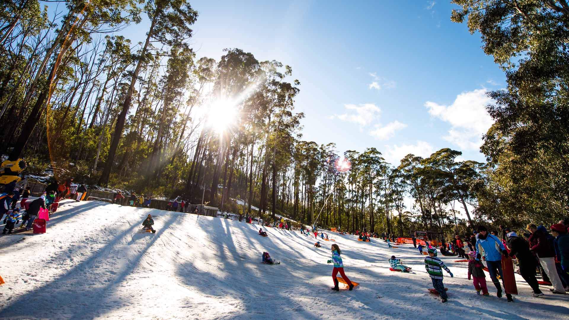 Corin Forest - Concrete Playground