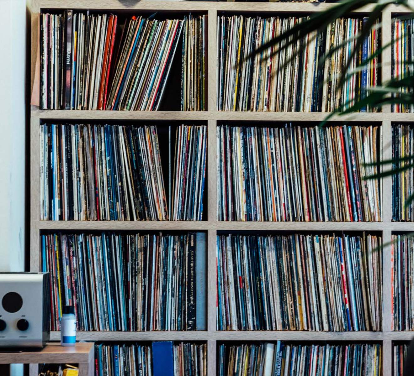 Dutch Vinyl - Concrete Playground