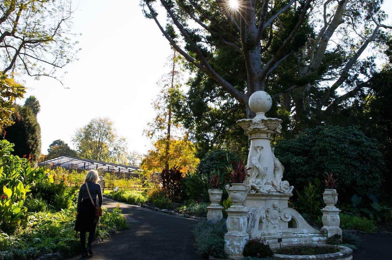 Geelong Botanic Gardens - Concrete Playground