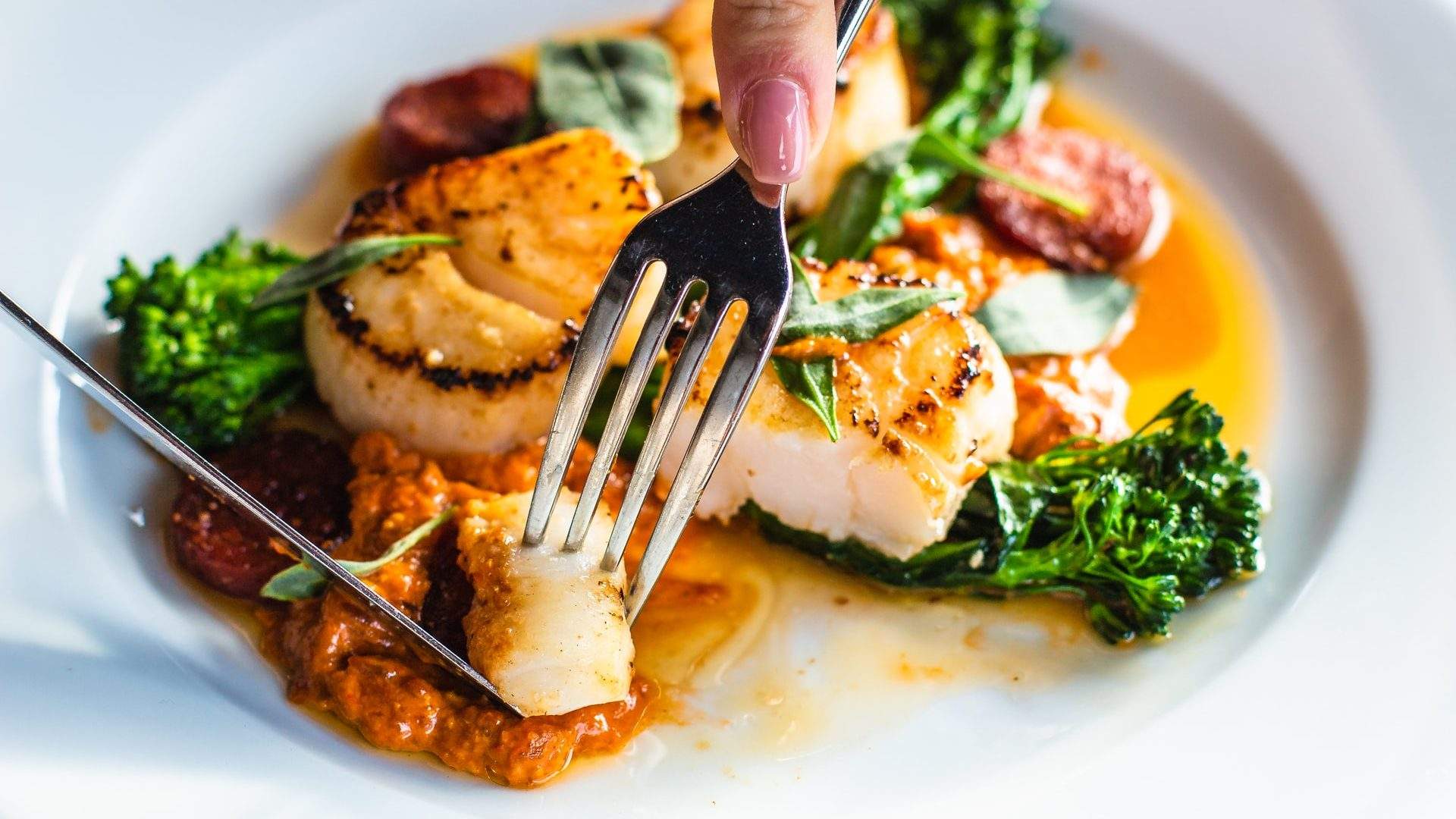 Garfish, Crows Nest Review