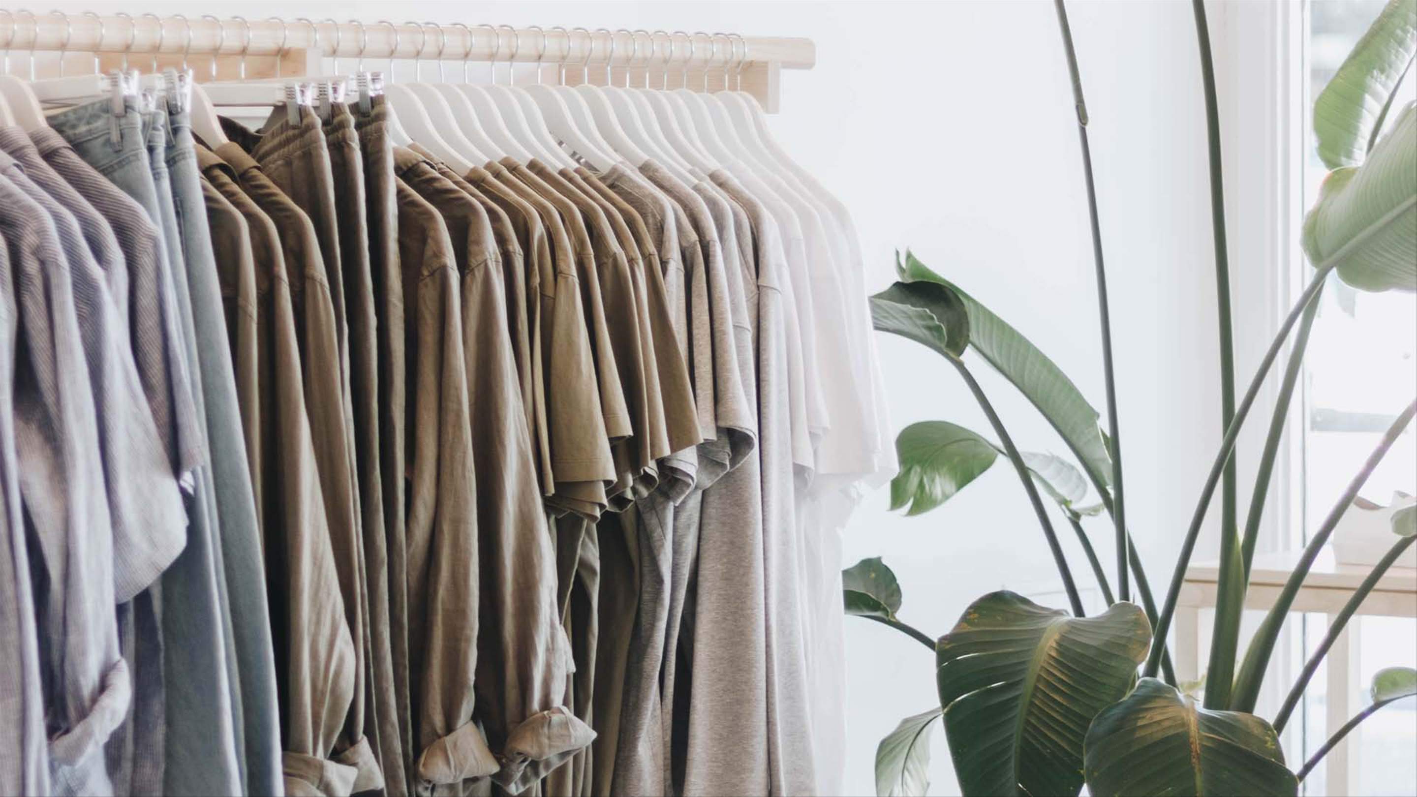 Assembly Label Queensland Warehouse Sale - Concrete Playground