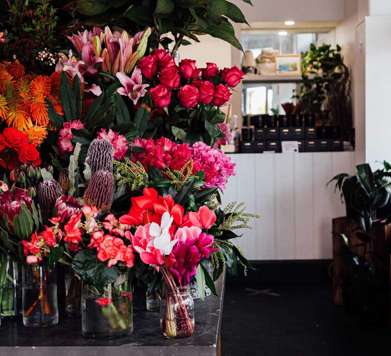 The Botanic Lab - Concrete Playground