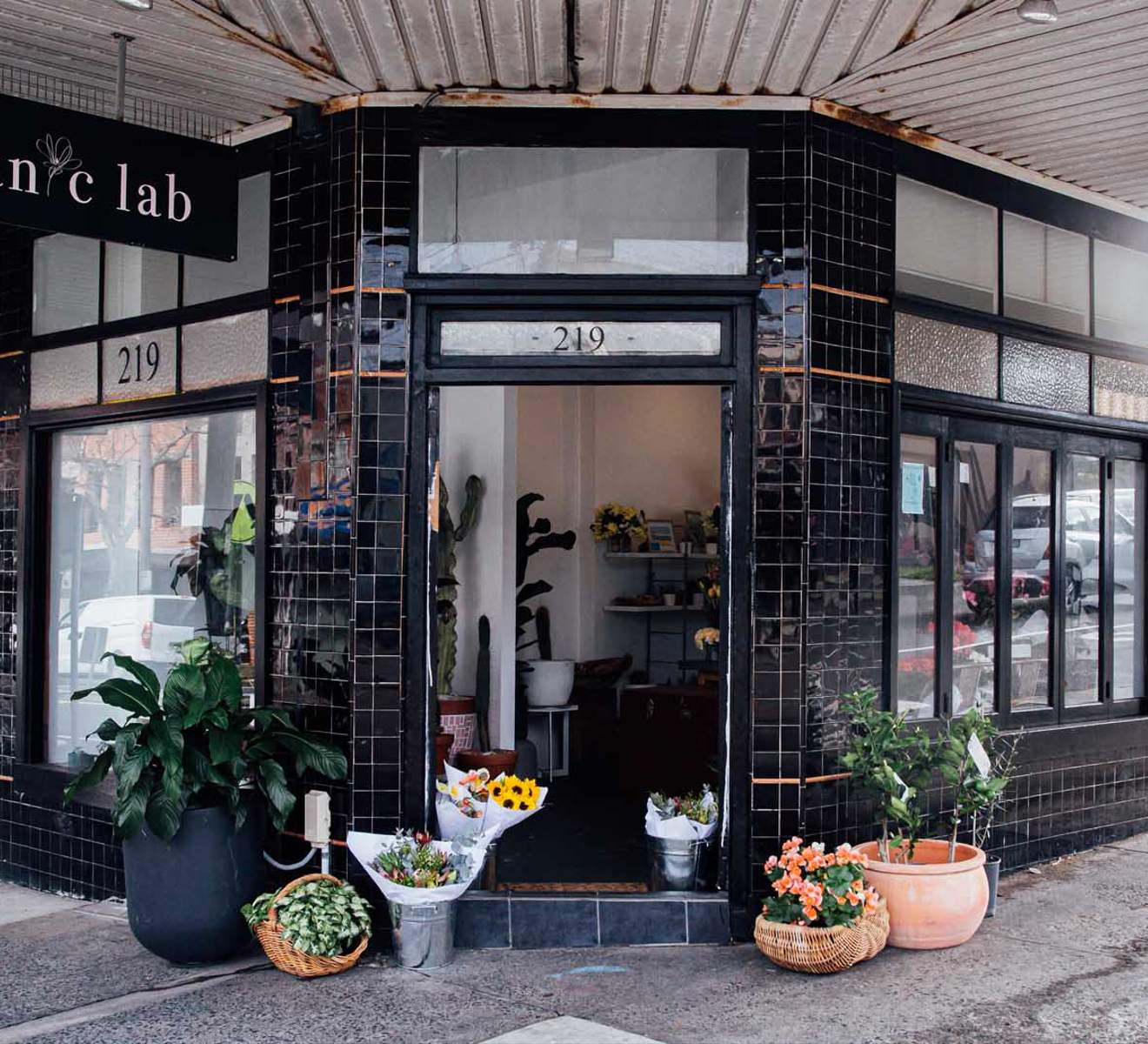 The Botanic Lab - Concrete Playground